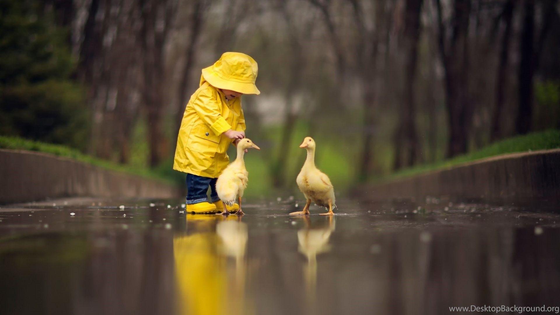 HD Duck Wallpapers - Top Free HD Duck Backgrounds - WallpaperAccess