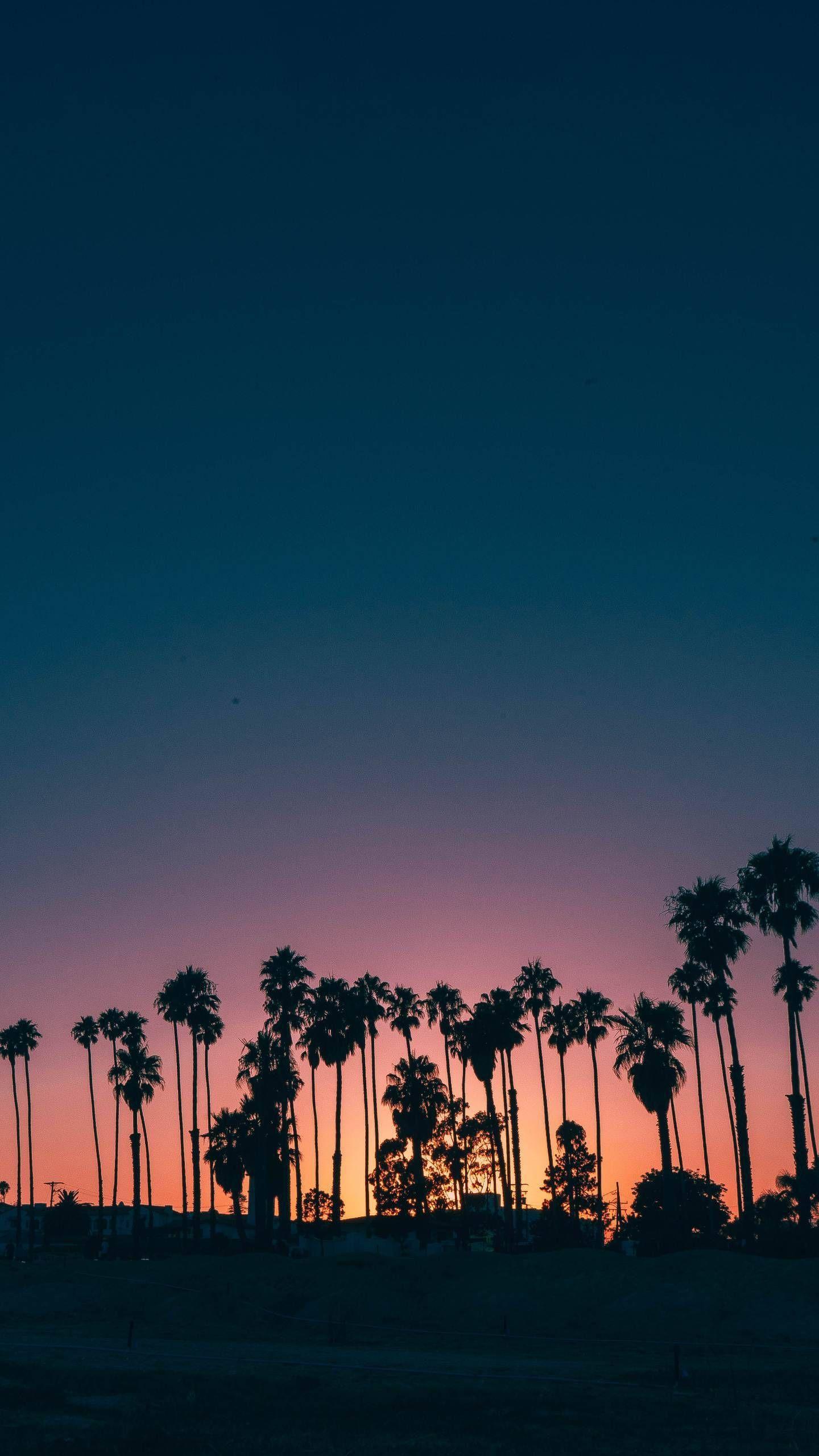 Miami Phone Wallpapers - Top Free Miami Phone Backgrounds - WallpaperAccess