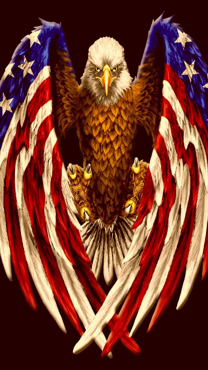 USA Flag Eagle Wallpapers - Top Free USA Flag Eagle Backgrounds ...