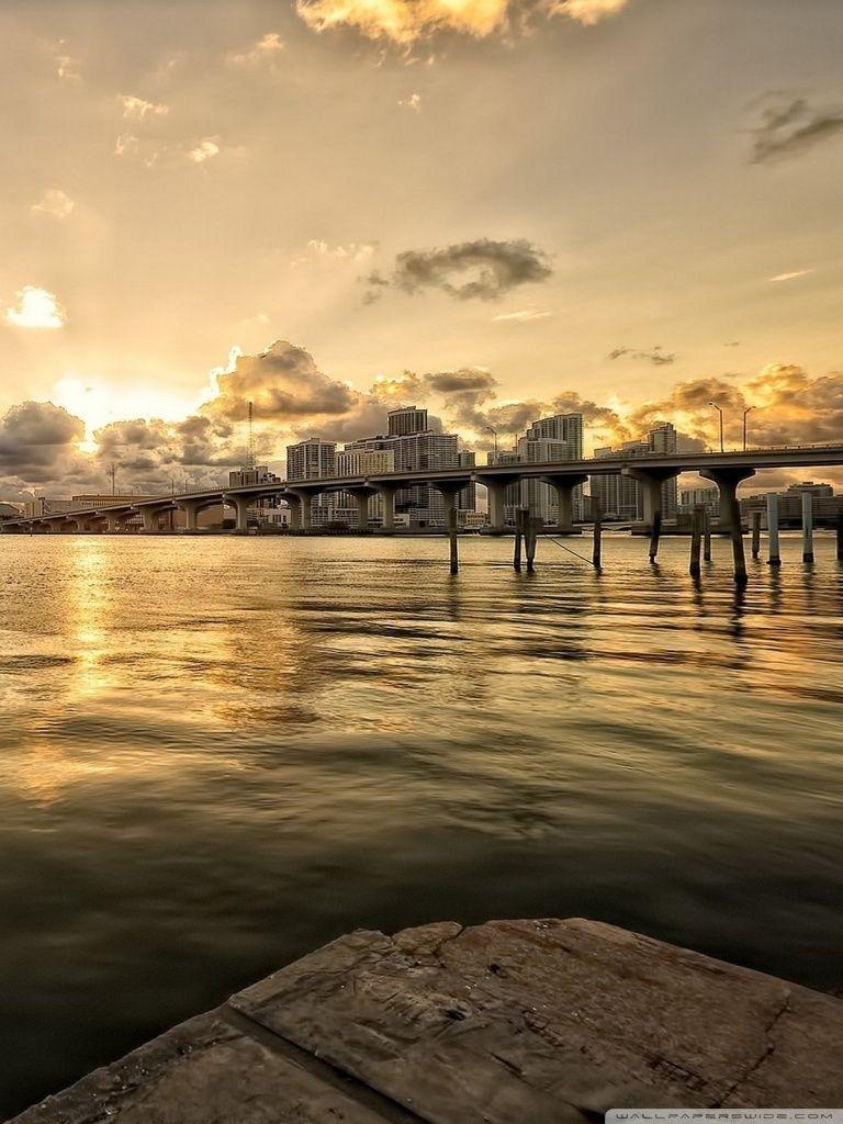 Miami Phone Wallpapers - Top Free Miami Phone Backgrounds - WallpaperAccess