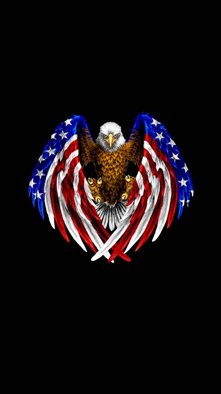 USA Flag Eagle Wallpapers - Top Free USA Flag Eagle Backgrounds ...