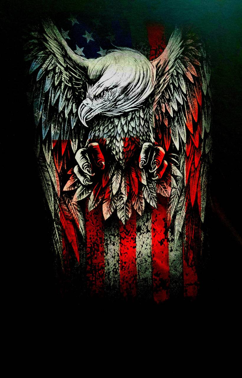 USA Flag Eagle Wallpapers - Top Free USA Flag Eagle Backgrounds ...