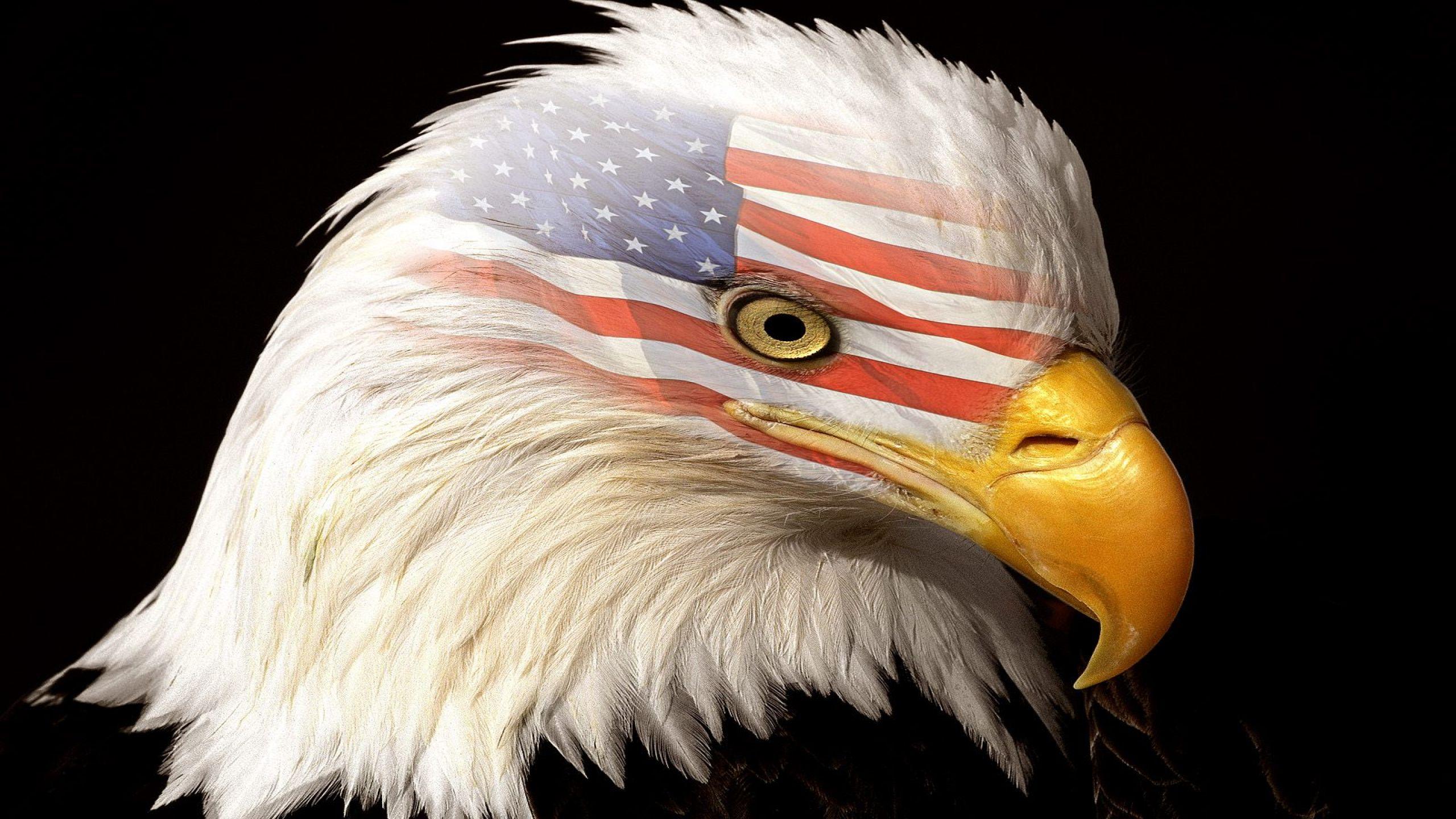 USA Flag Eagle Wallpapers - Top Free USA Flag Eagle Backgrounds ...
