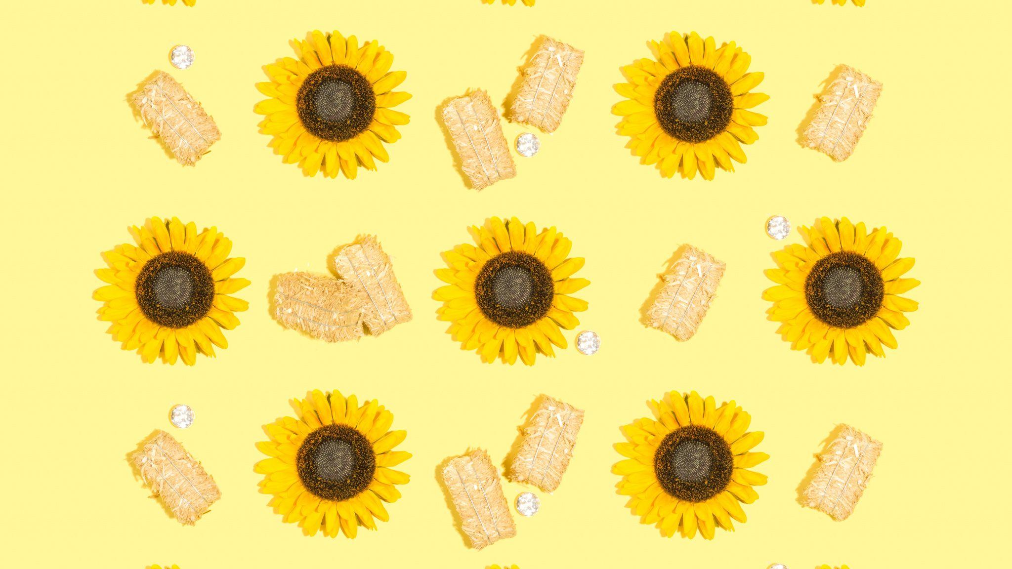 Yellow 2048x1152 Wallpapers - Top Free Yellow 2048x1152 Backgrounds ...