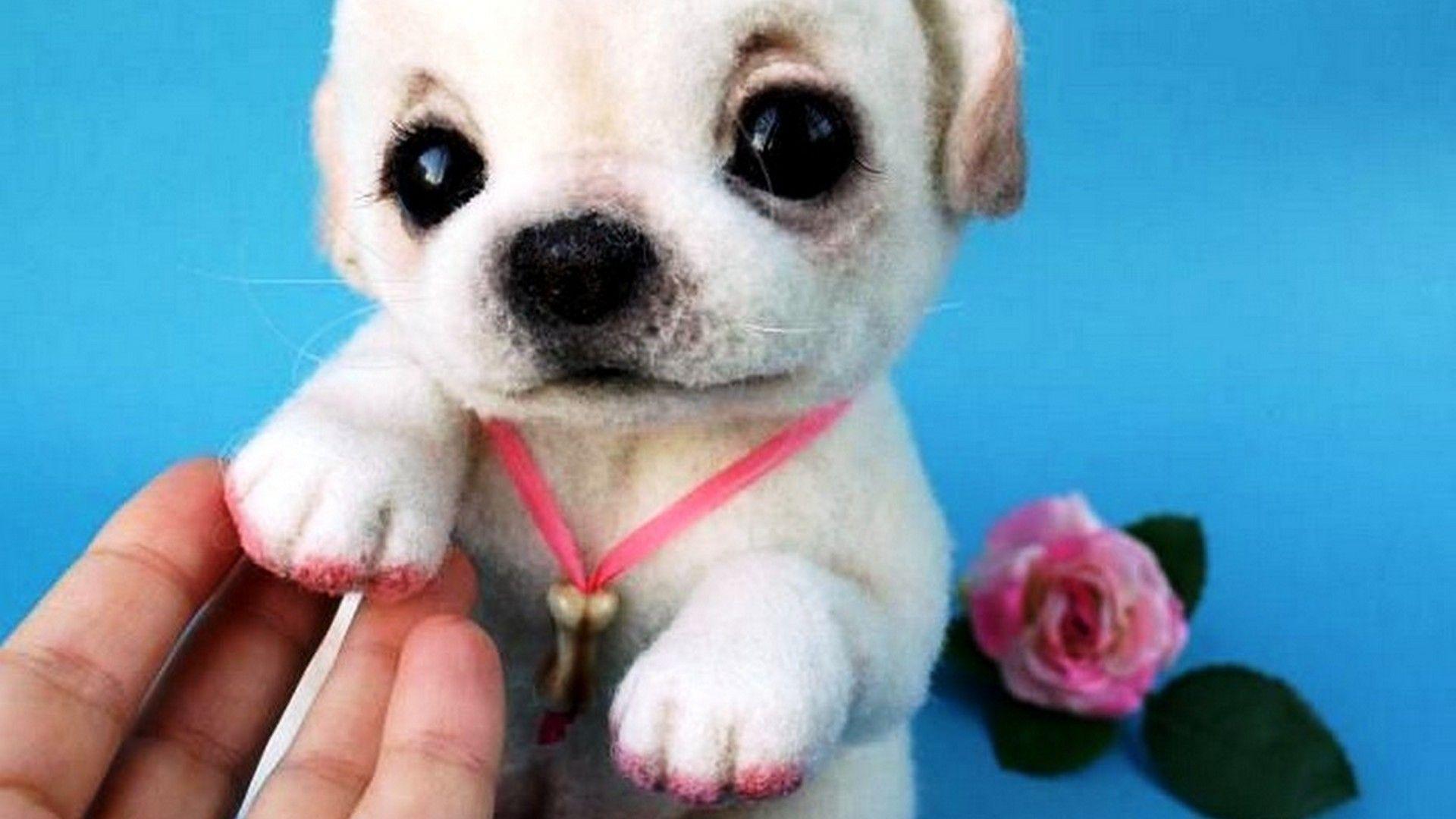 Pink Puppies Wallpapers - Top Free Pink Puppies Backgrounds ...