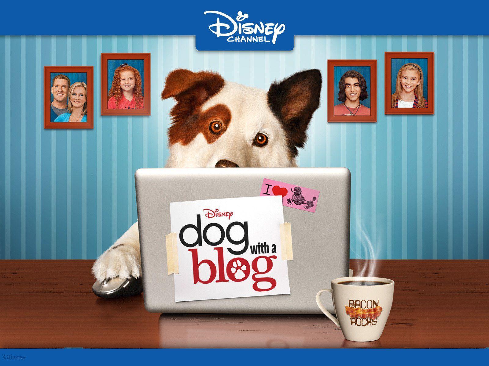 Dog with a Blog Wallpapers - Top Free Dog with a Blog Backgrounds ...