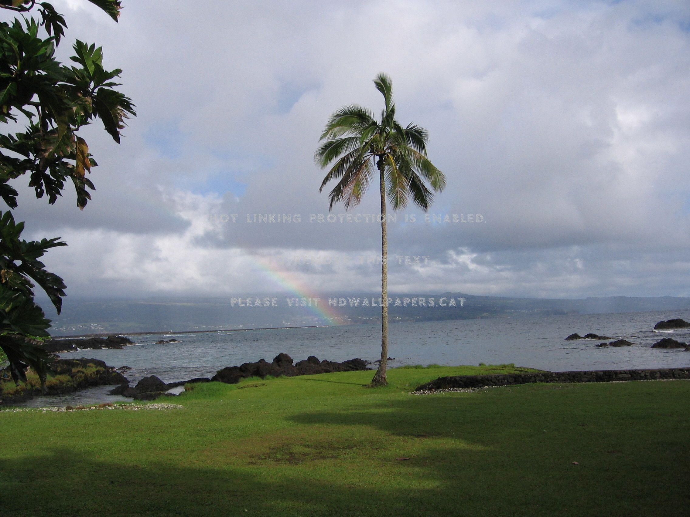 Hilo Hawaii Wallpapers - Top Free Hilo Hawaii Backgrounds - WallpaperAccess