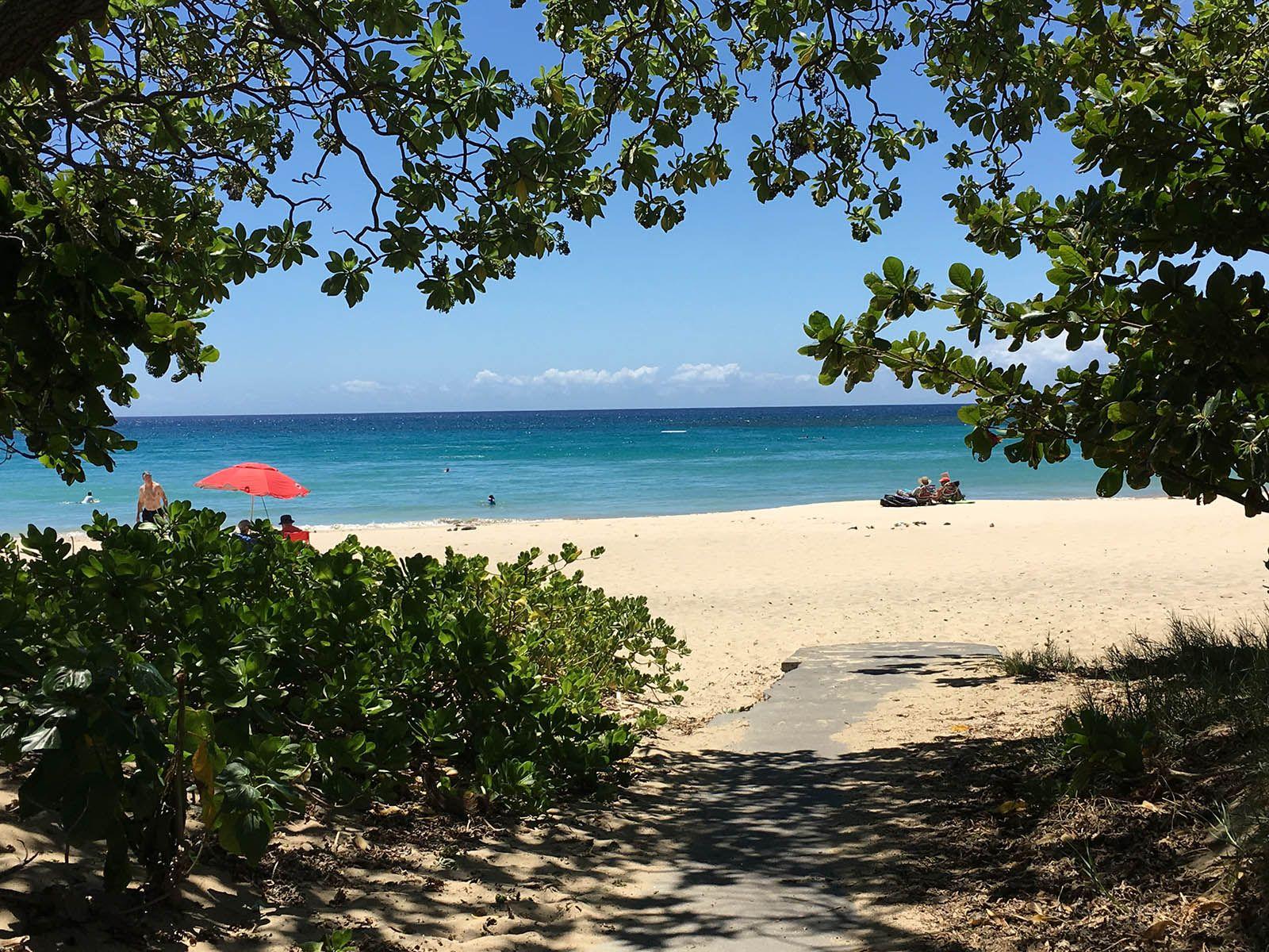 Hilo Hawaii Wallpapers - Top Free Hilo Hawaii Backgrounds - WallpaperAccess