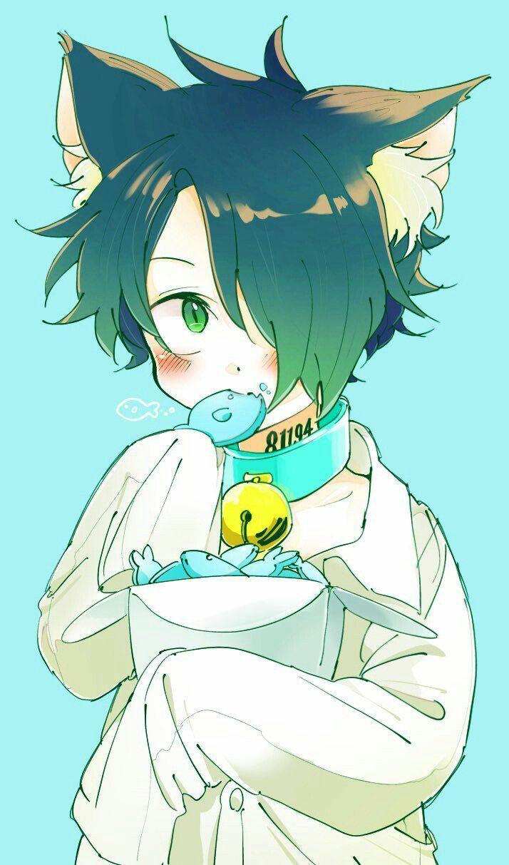 Cat Boy Anime Wallpapers - Top Free Cat Boy Anime Backgrounds ...