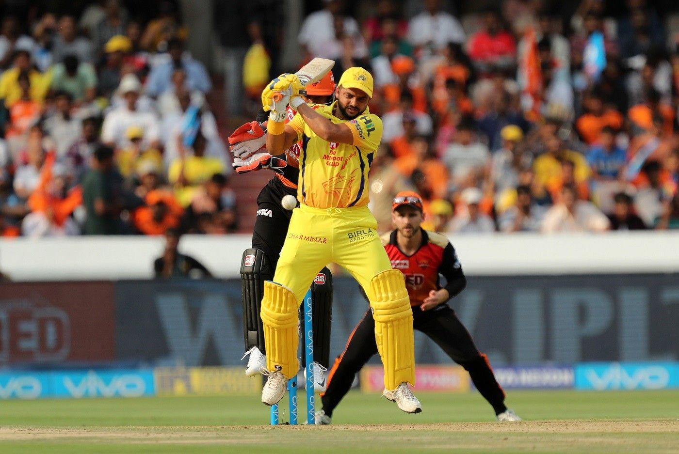 Raina Csk Wallpapers - Top Free Raina Csk Backgrounds - WallpaperAccess