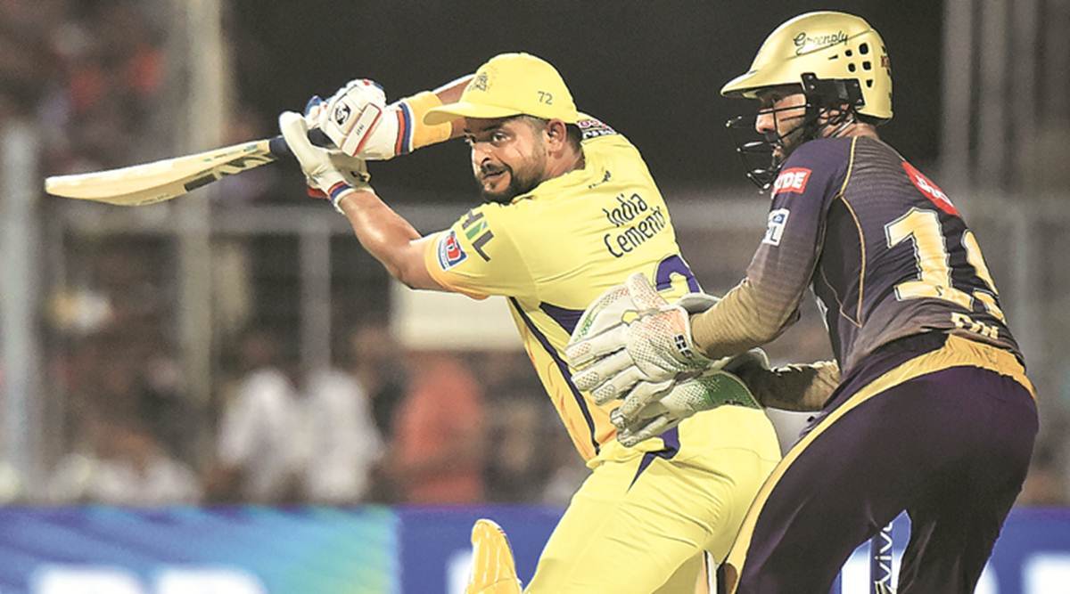 Raina Csk Wallpapers - Top Free Raina Csk Backgrounds - WallpaperAccess