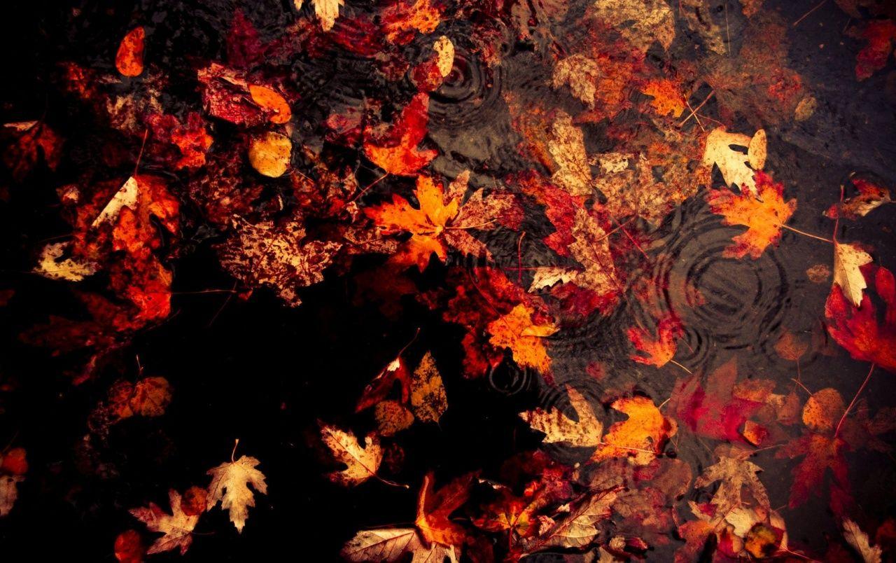 Floating Wallpapers - Top Free Floating Backgrounds - WallpaperAccess