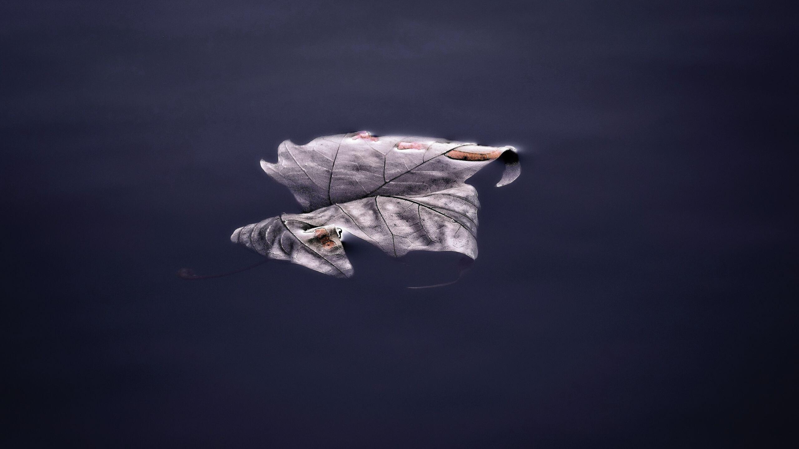 Floating Wallpapers - Top Free Floating Backgrounds - WallpaperAccess