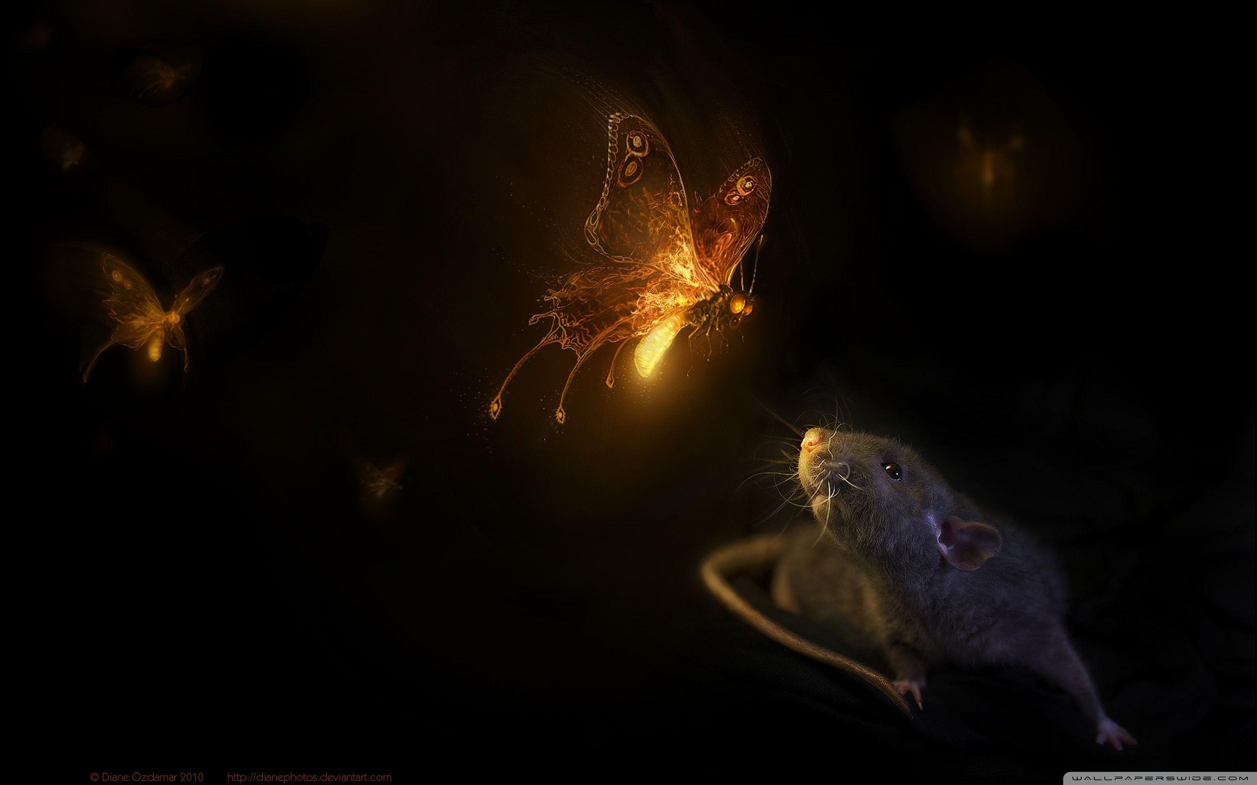 Firefly 4K Wallpapers - Top Free Firefly 4K Backgrounds - WallpaperAccess