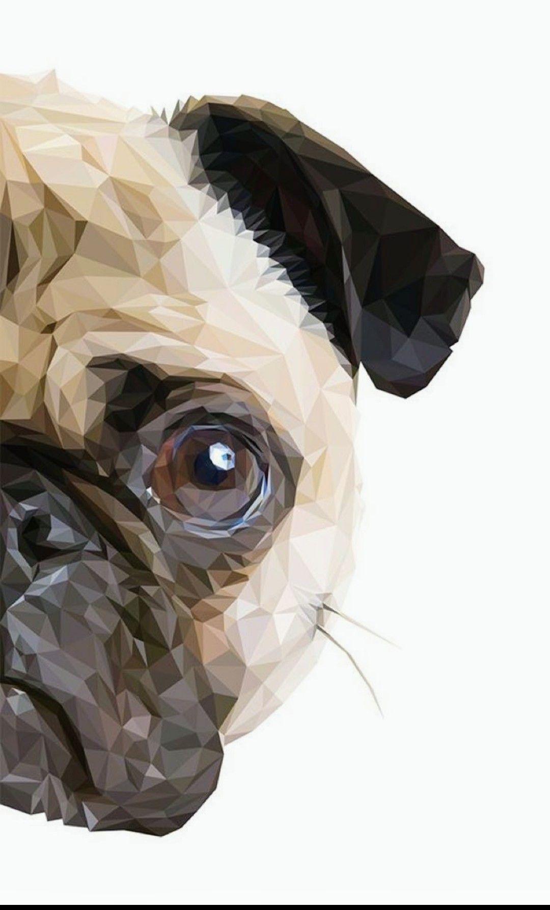 Dog Geometric Wallpapers - Top Free Dog Geometric Backgrounds ...