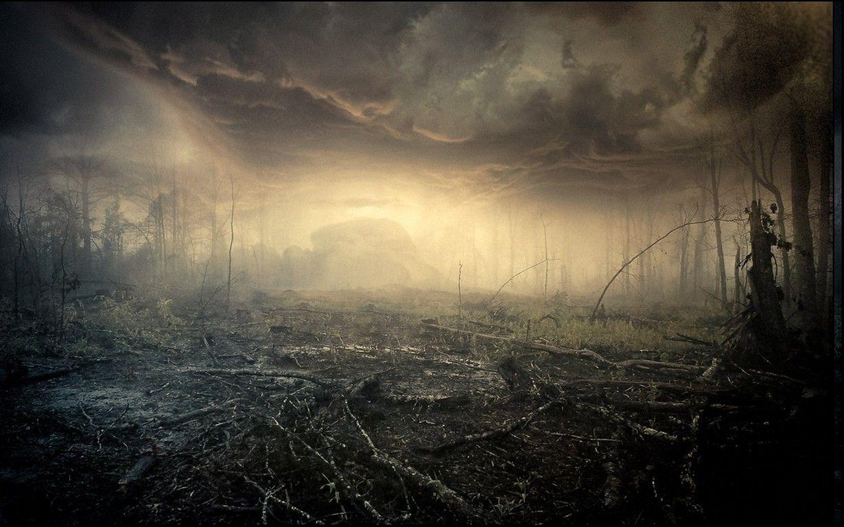 Burning Forest Wallpapers - Top Free Burning Forest Backgrounds ...