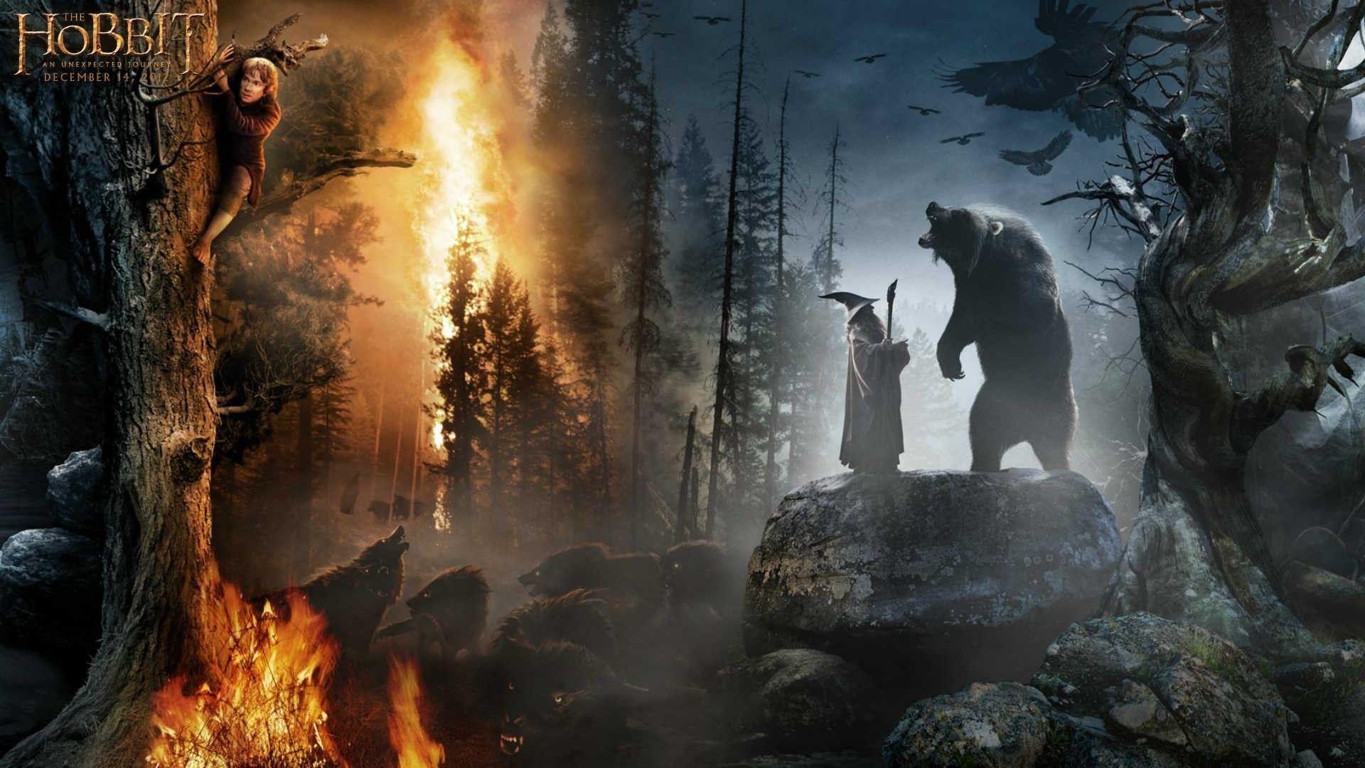 Burning Forest Wallpapers - Top Free Burning Forest Backgrounds ...