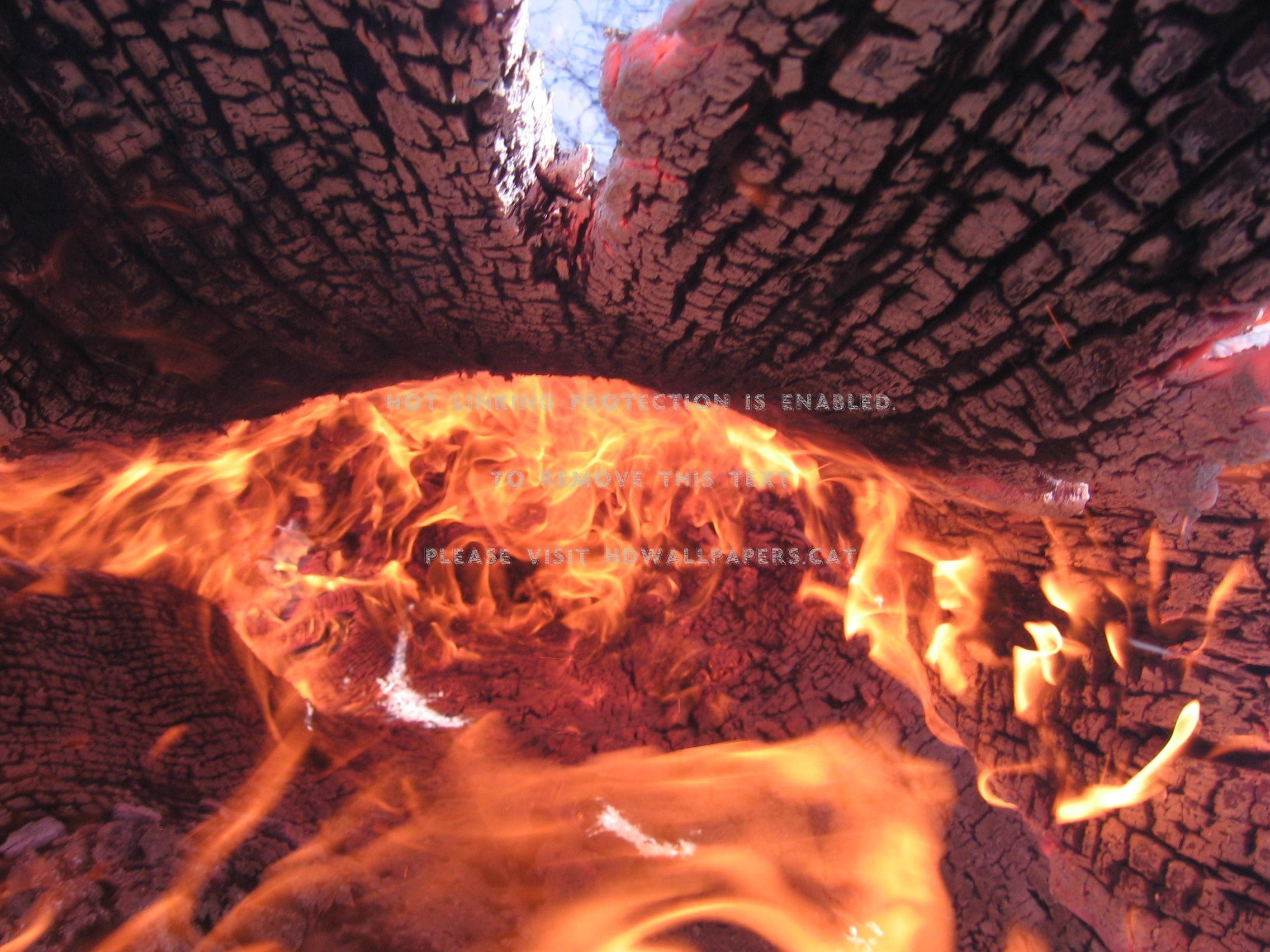 Burning Forest Wallpapers - Top Free Burning Forest Backgrounds ...