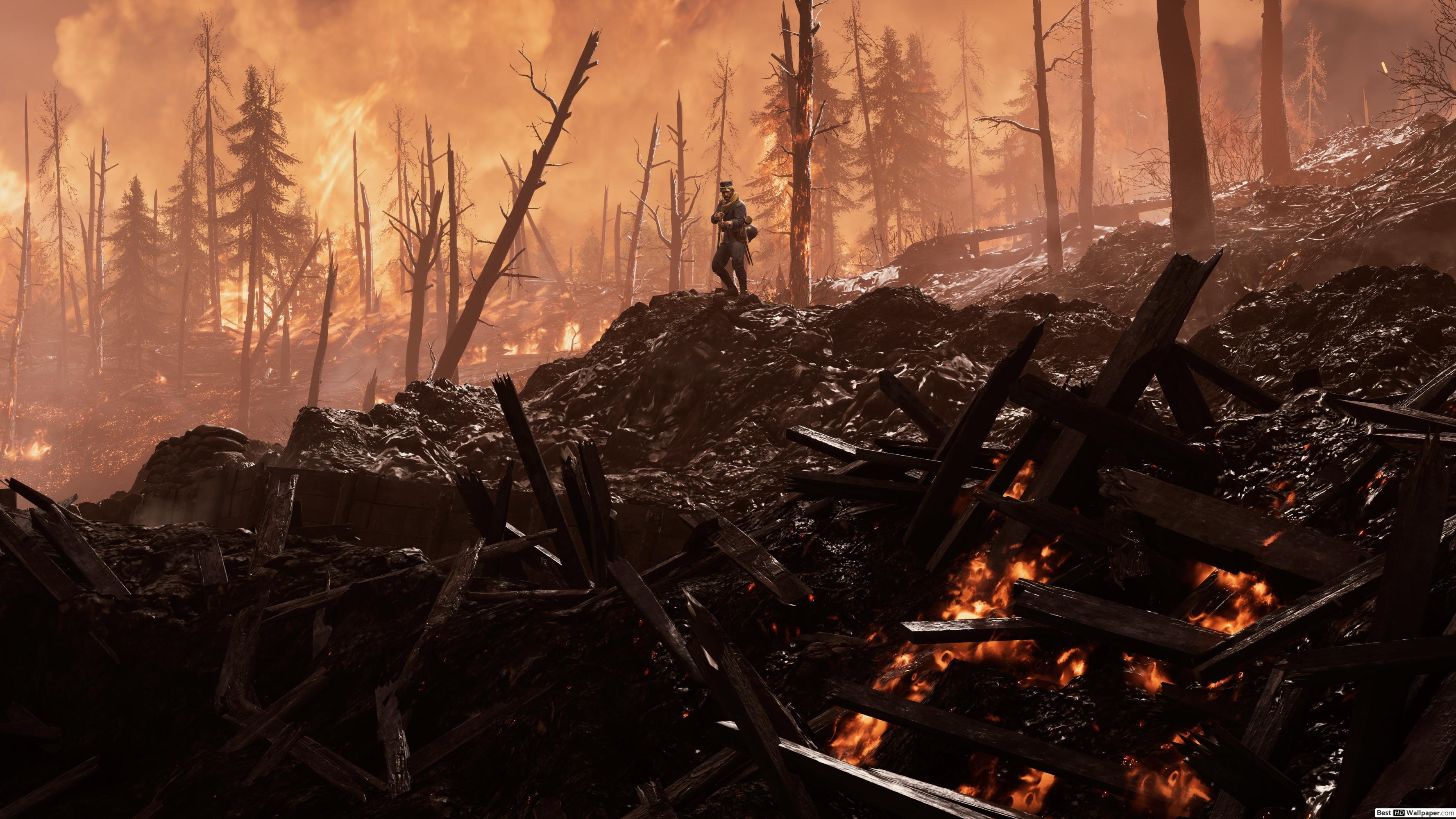 Burning Forest Wallpapers - Top Free Burning Forest Backgrounds ...