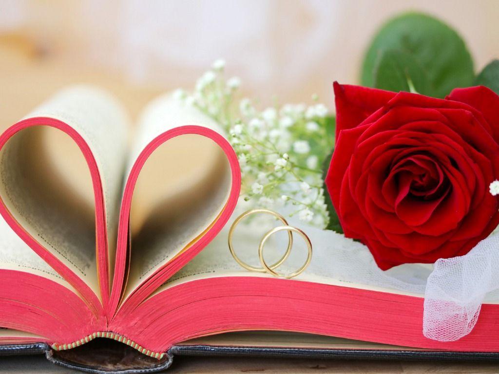 I Love Books Wallpapers - Top Free I Love Books Backgrounds ...