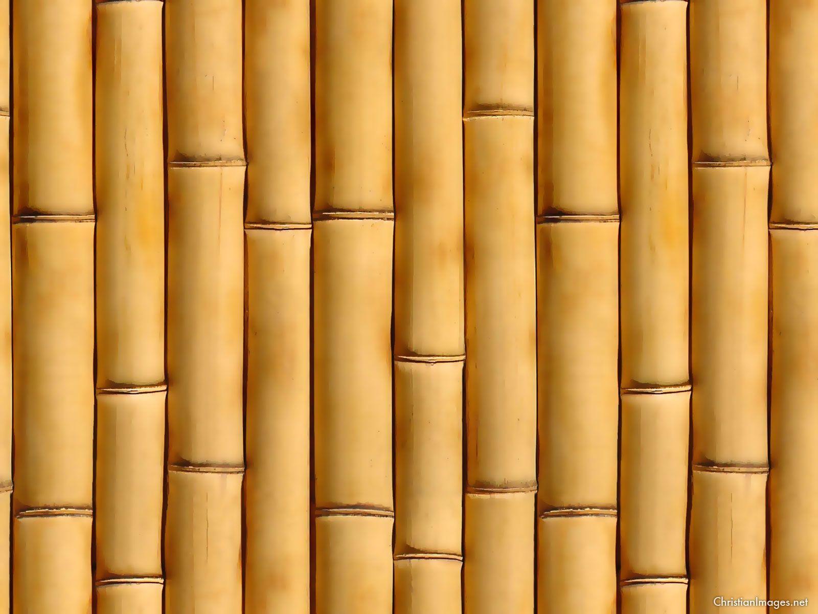 Bamboo Pattern Wallpapers - Top Free Bamboo Pattern Backgrounds ...
