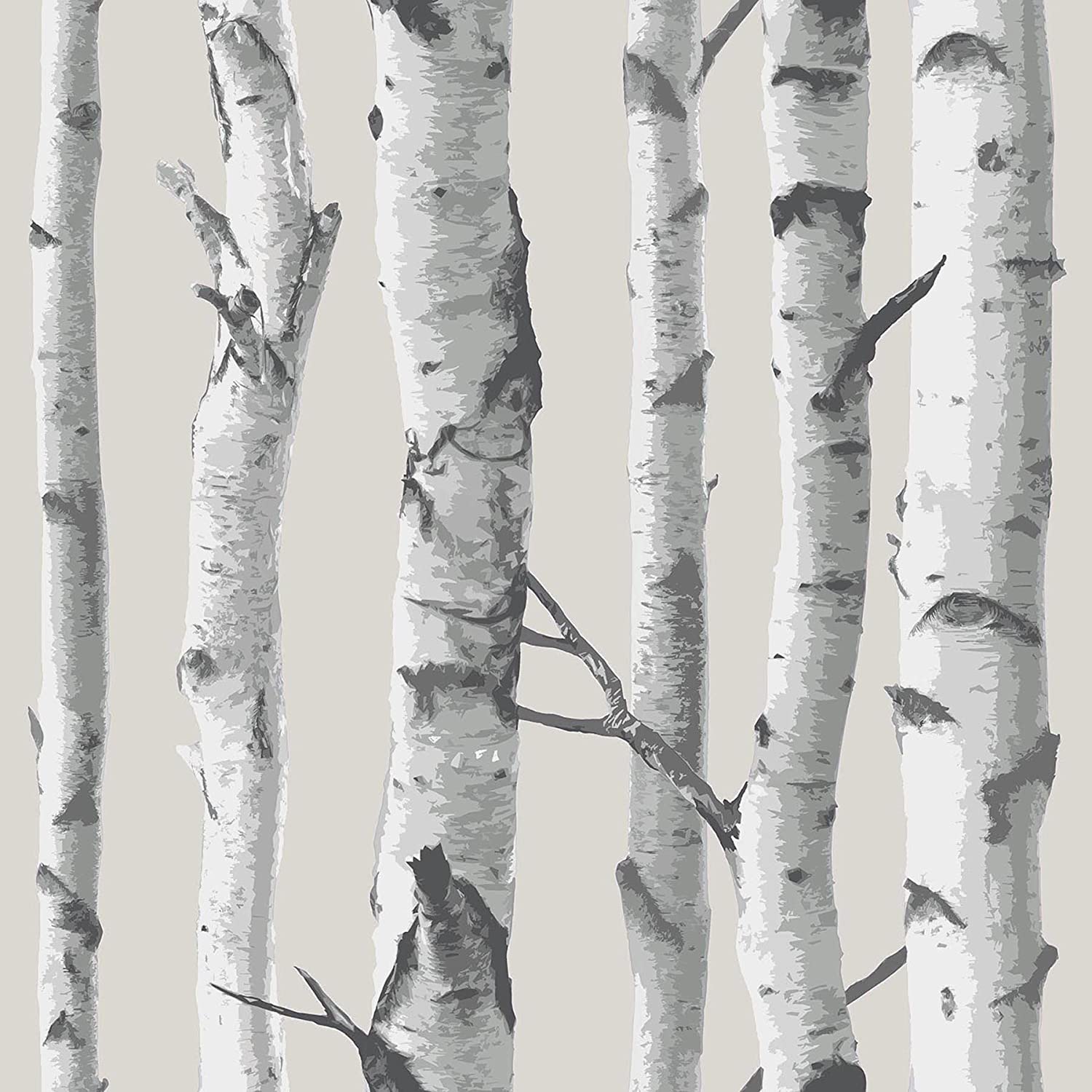 Birch Forest Wallpapers - Top Free Birch Forest Backgrounds ...