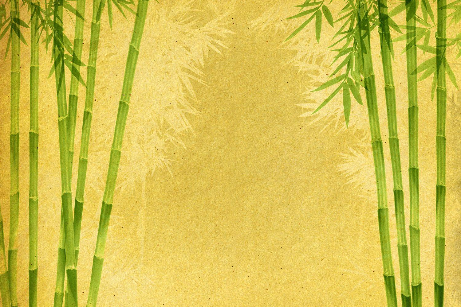 Bamboo Pattern Wallpapers - Top Free Bamboo Pattern Backgrounds ...
