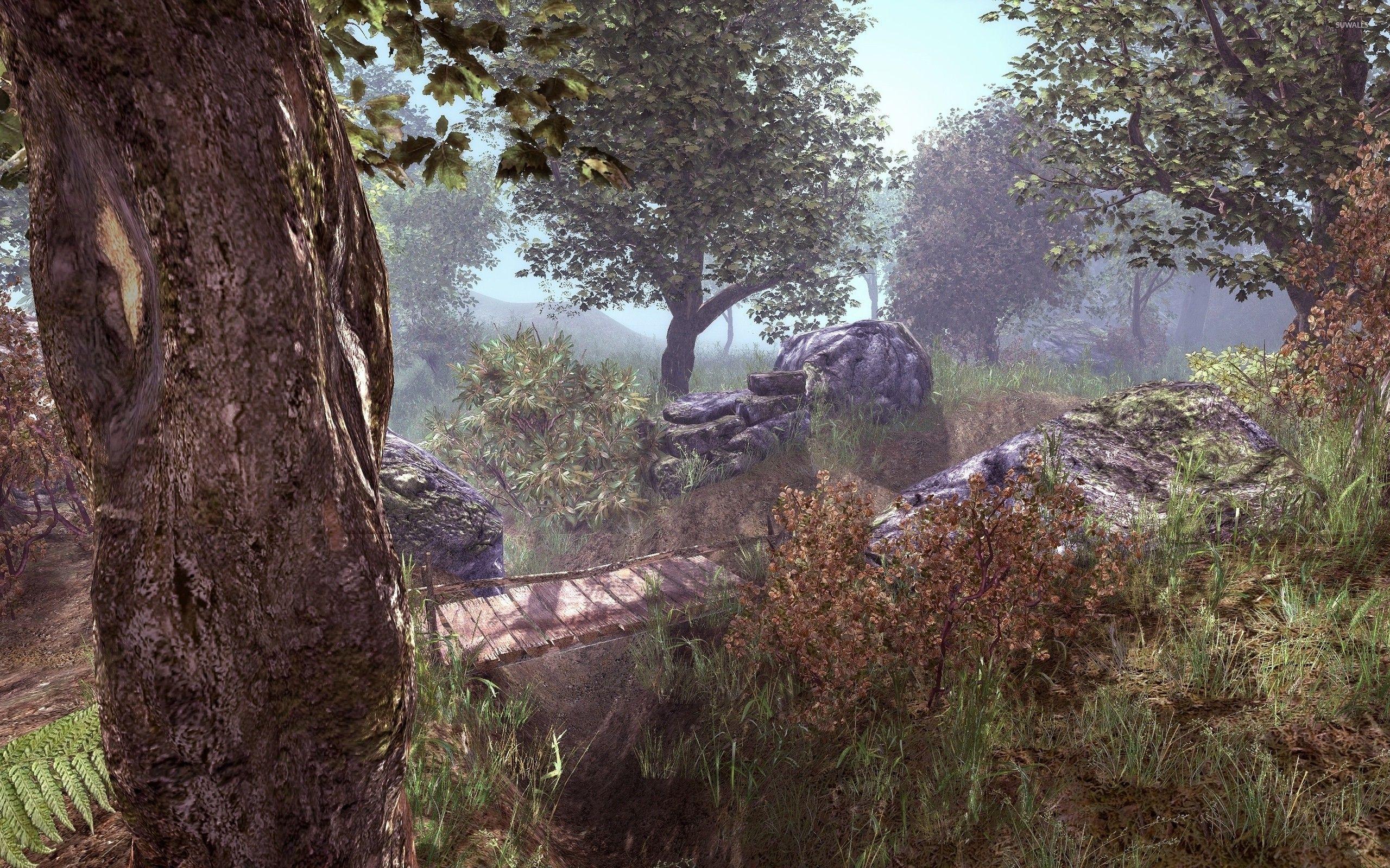 Gothic Forest Wallpapers - Top Free Gothic Forest Backgrounds ...