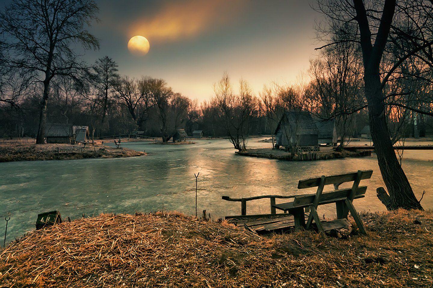 Peace Tree Wallpapers - Top Free Peace Tree Backgrounds - WallpaperAccess