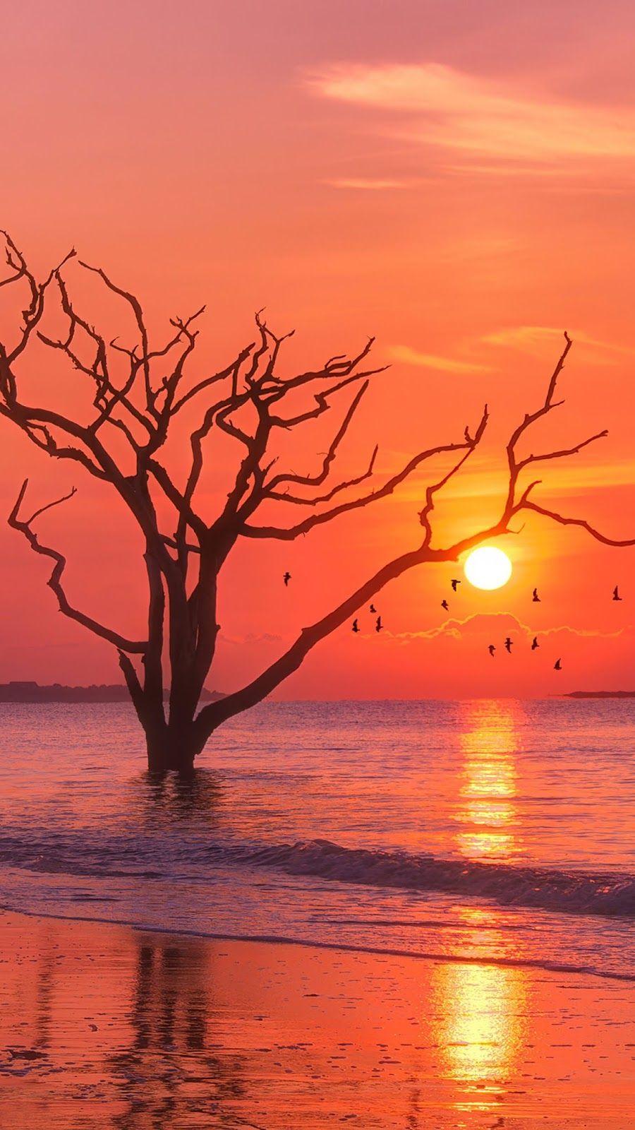 Sunset Mobile Wallpapers - Top Free Sunset Mobile Backgrounds ...