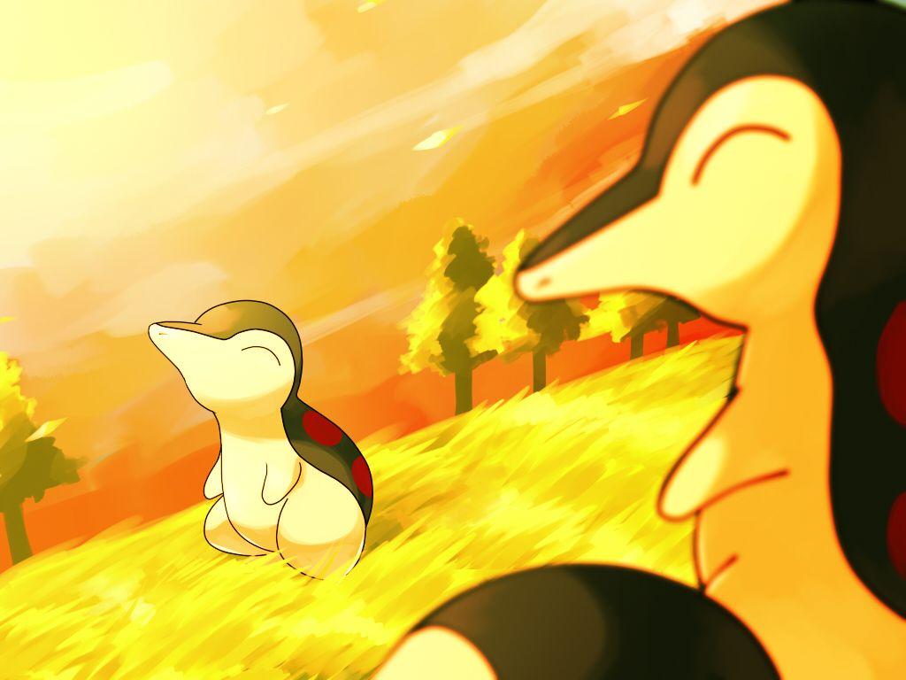 Pokemon Cyndaquil Wallpapers - Top Free Pokemon Cyndaquil Backgrounds ...