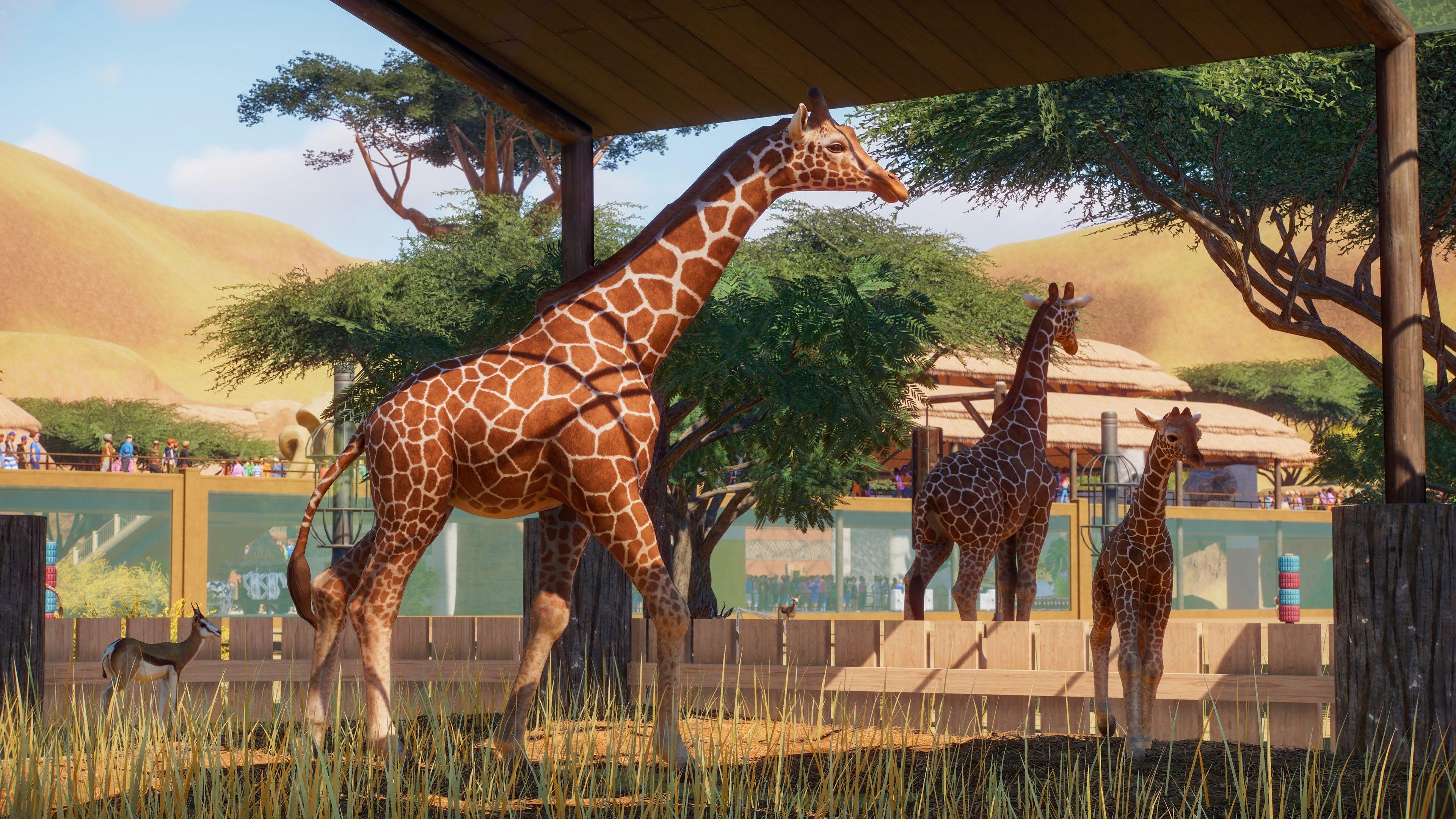 Planet Zoo Wallpapers - Top Free Planet Zoo Backgrounds - WallpaperAccess