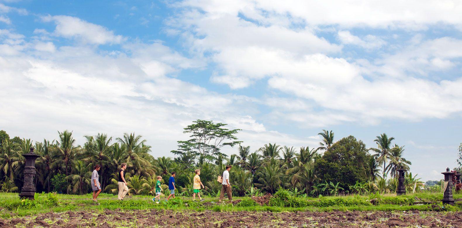 Rice Fields Bali Indonesia Wallpapers - Top Free Rice Fields Bali ...