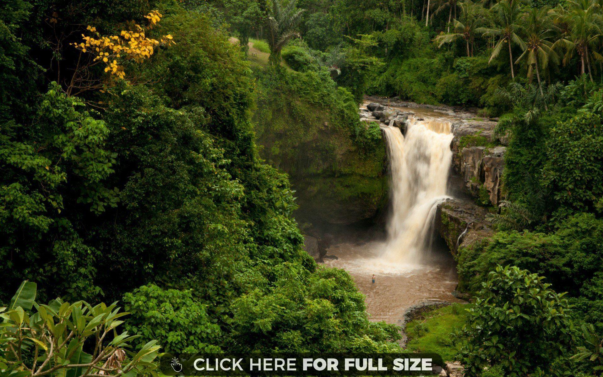 Bali Nature Wallpapers - Top Free Bali Nature Backgrounds - WallpaperAccess