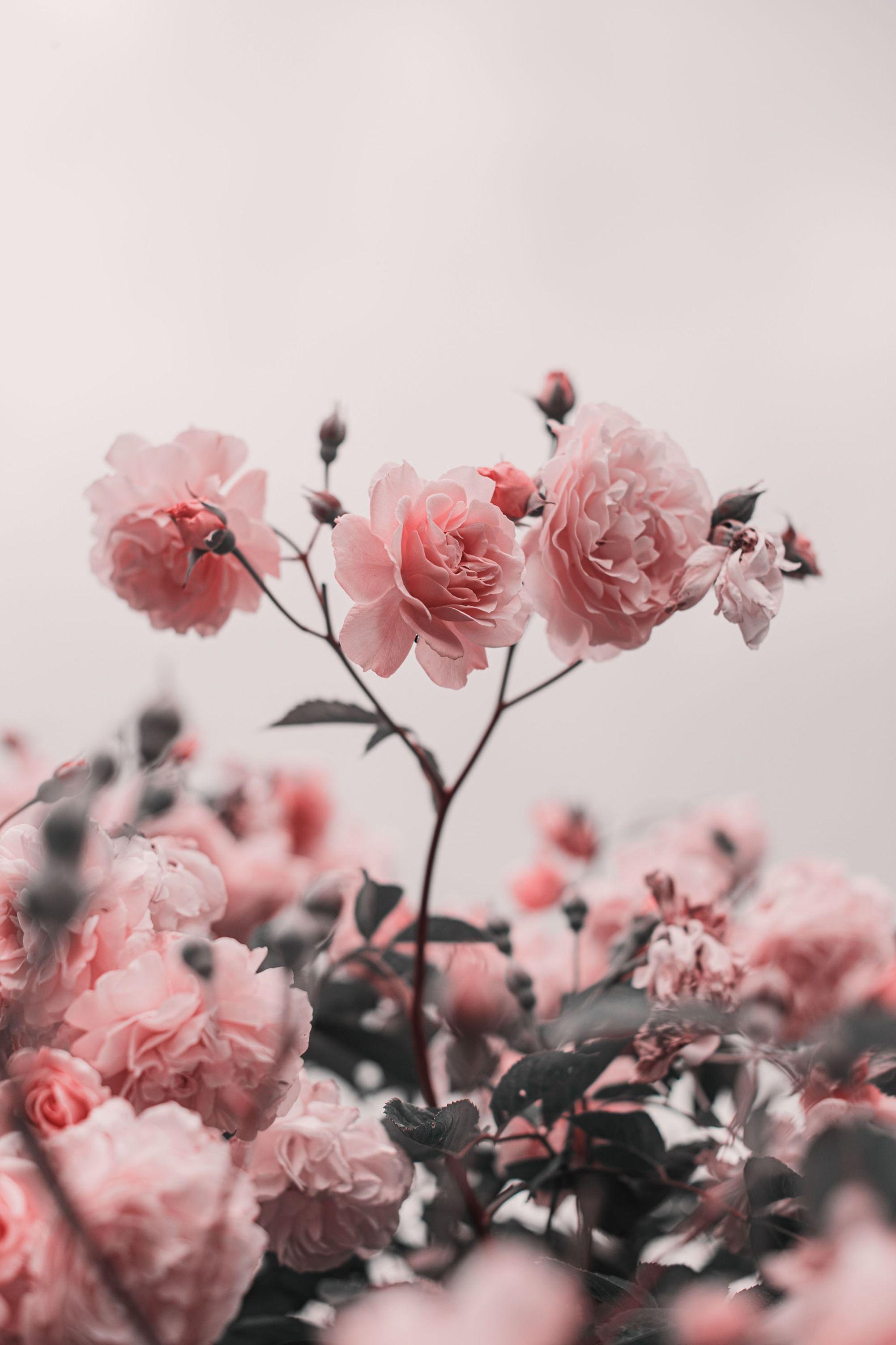 Beautiful Unique HD Wallpapers - Top Free Beautiful Unique HD ...