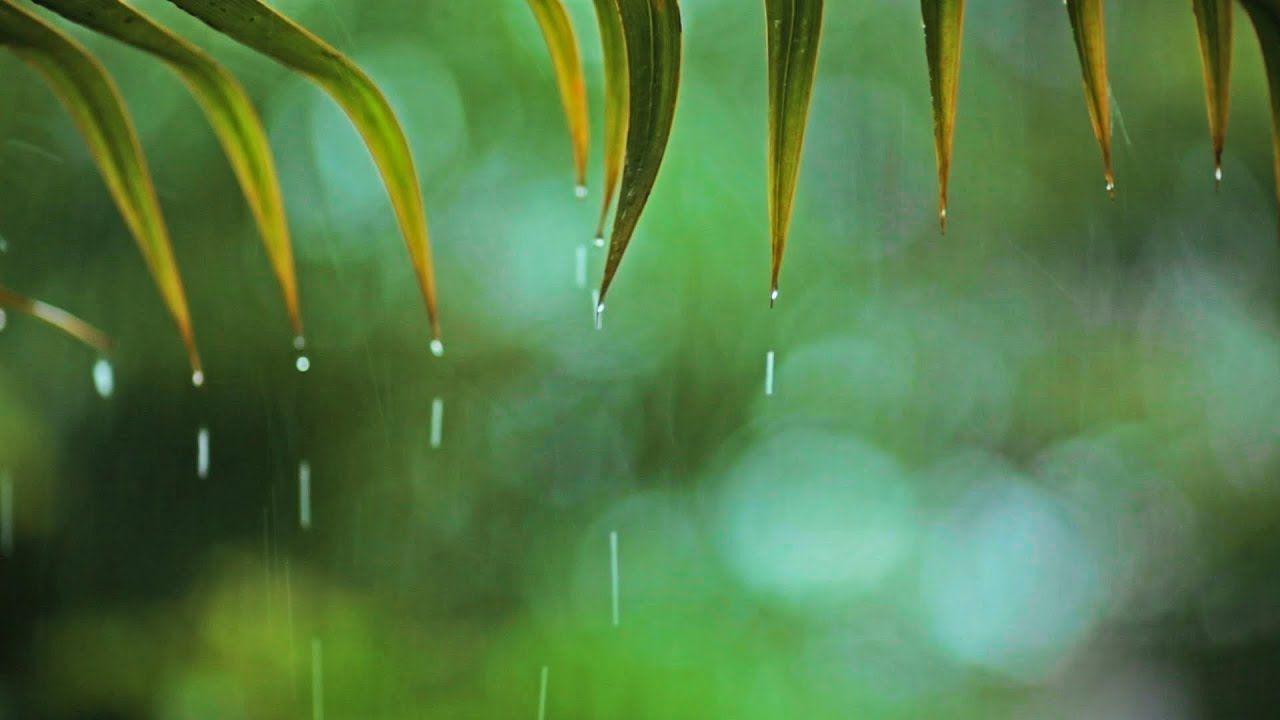 Relaxing Rain Wallpapers - Top Free Relaxing Rain Backgrounds ...