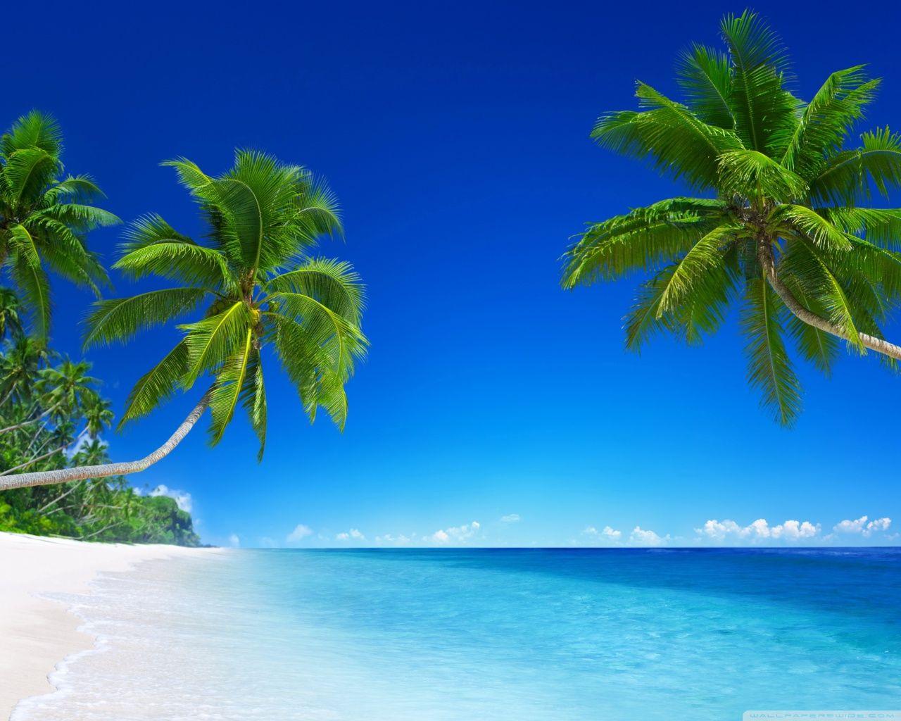 1280X1024 Tropical Wallpapers - Top Free 1280X1024 Tropical Backgrounds ...