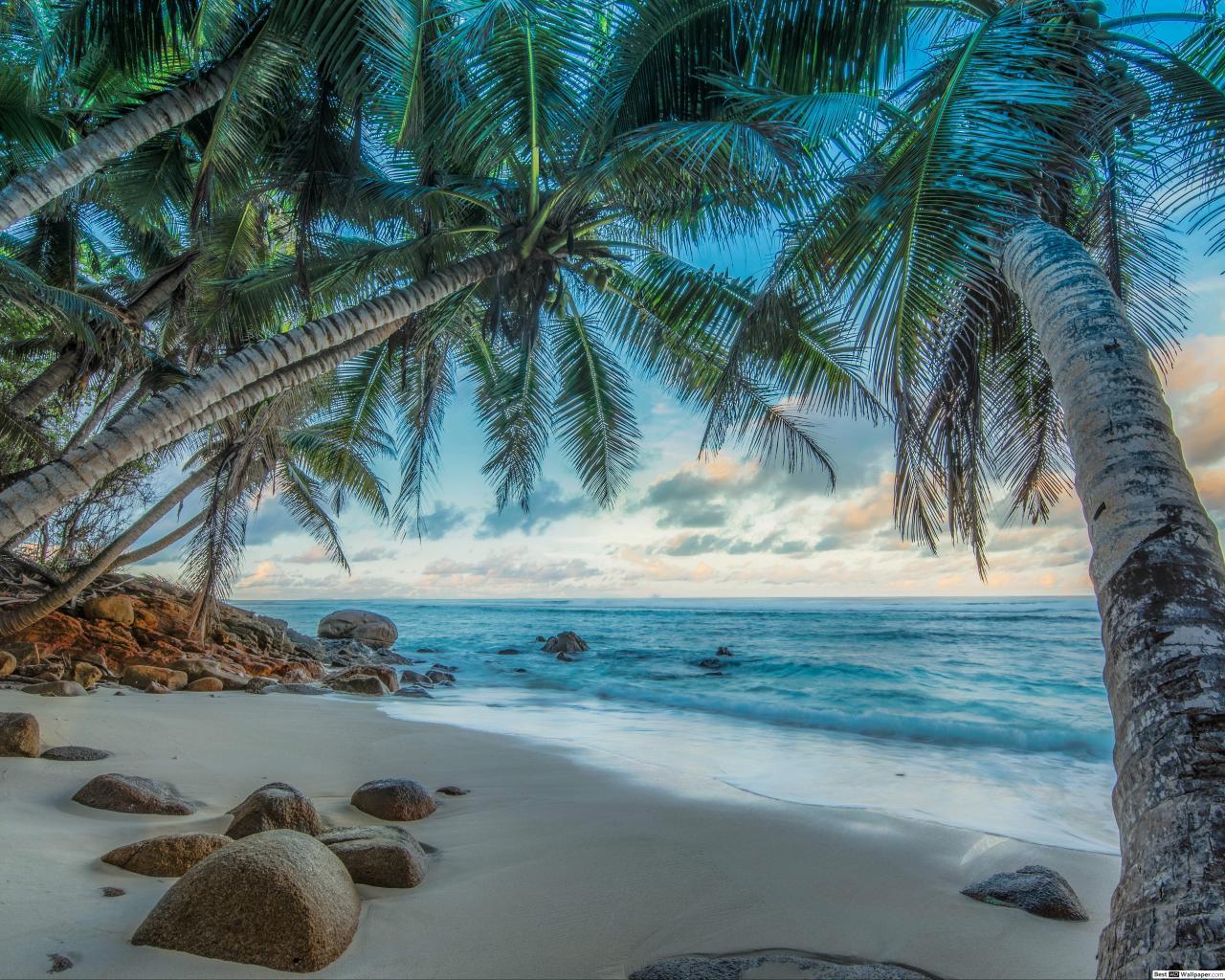 1280X1024 Tropical Wallpapers - Top Free 1280X1024 Tropical Backgrounds ...