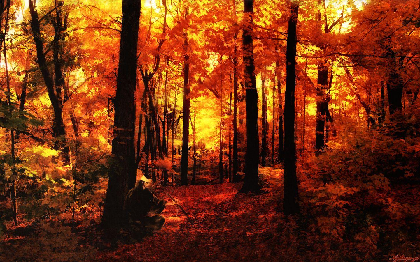 16K Ultra HD Nature Wallpapers - Top Free 16K Ultra HD Nature ...