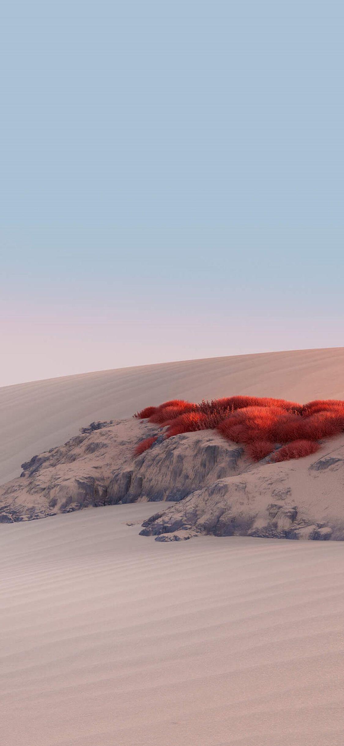 Surface Go Wallpapers - Top Free Surface Go Backgrounds - WallpaperAccess