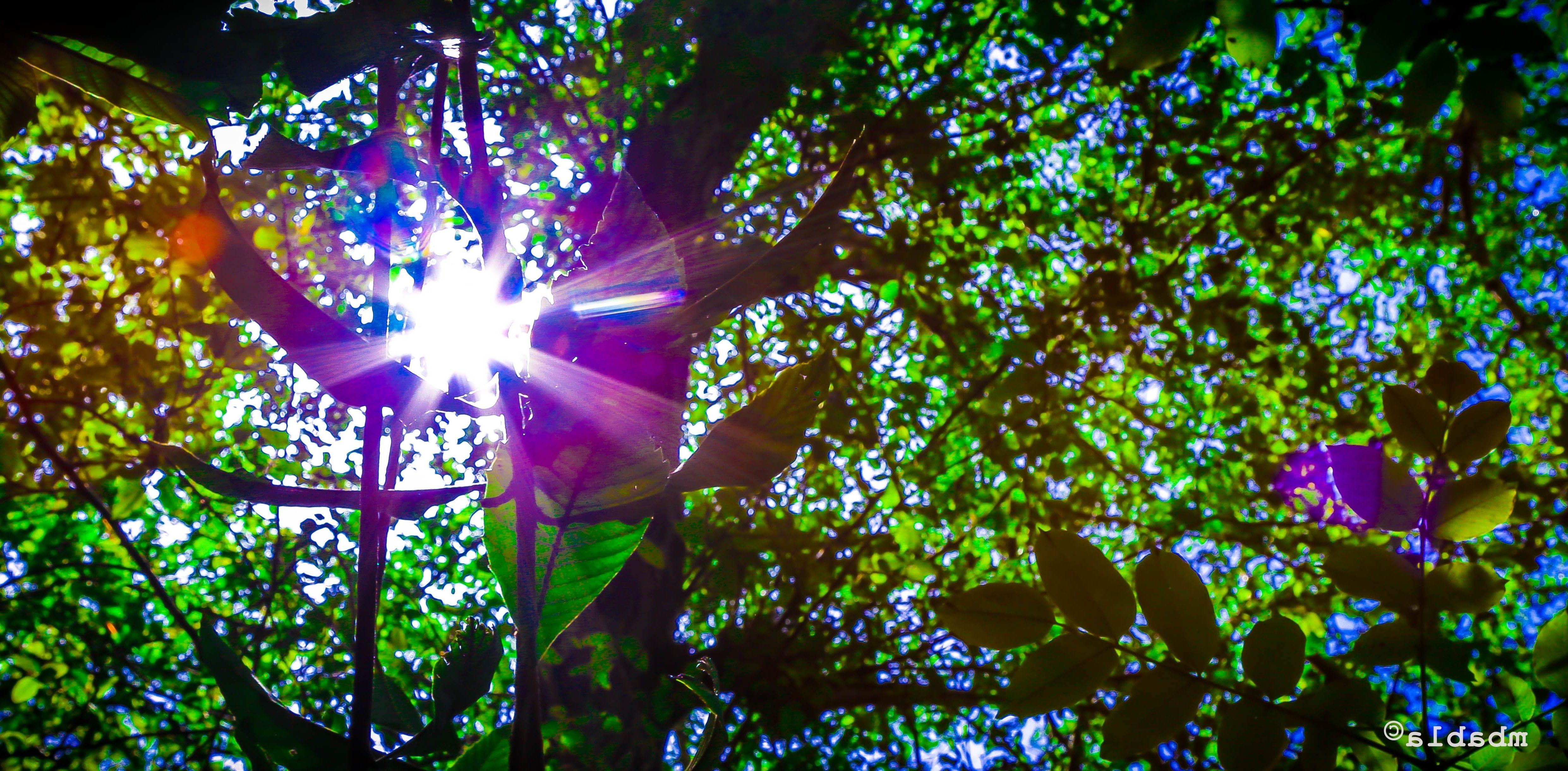 Purple Sun Wallpapers - Top Free Purple Sun Backgrounds - WallpaperAccess