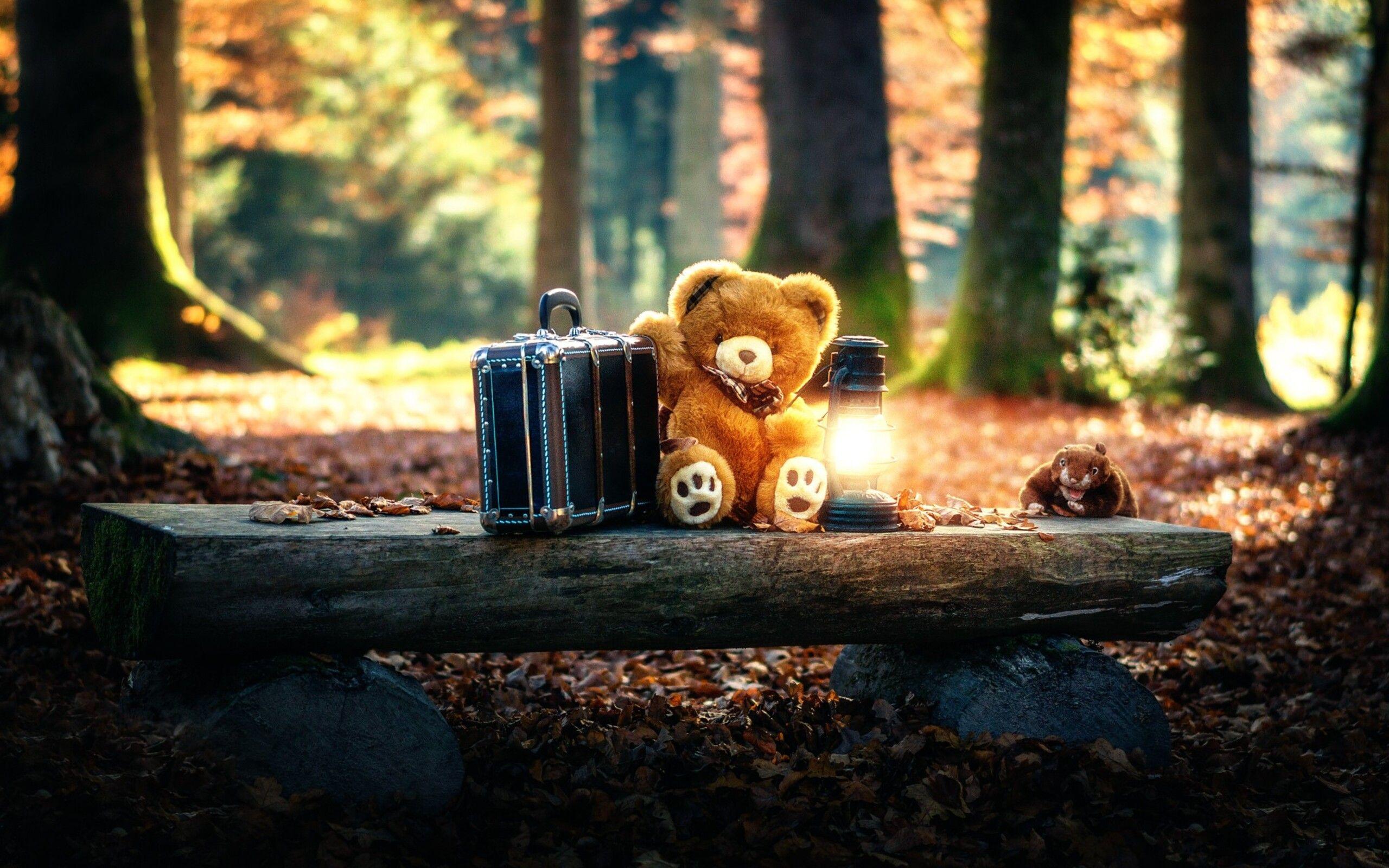 Cute Forest Wallpapers - Top Free Cute Forest Backgrounds - WallpaperAccess