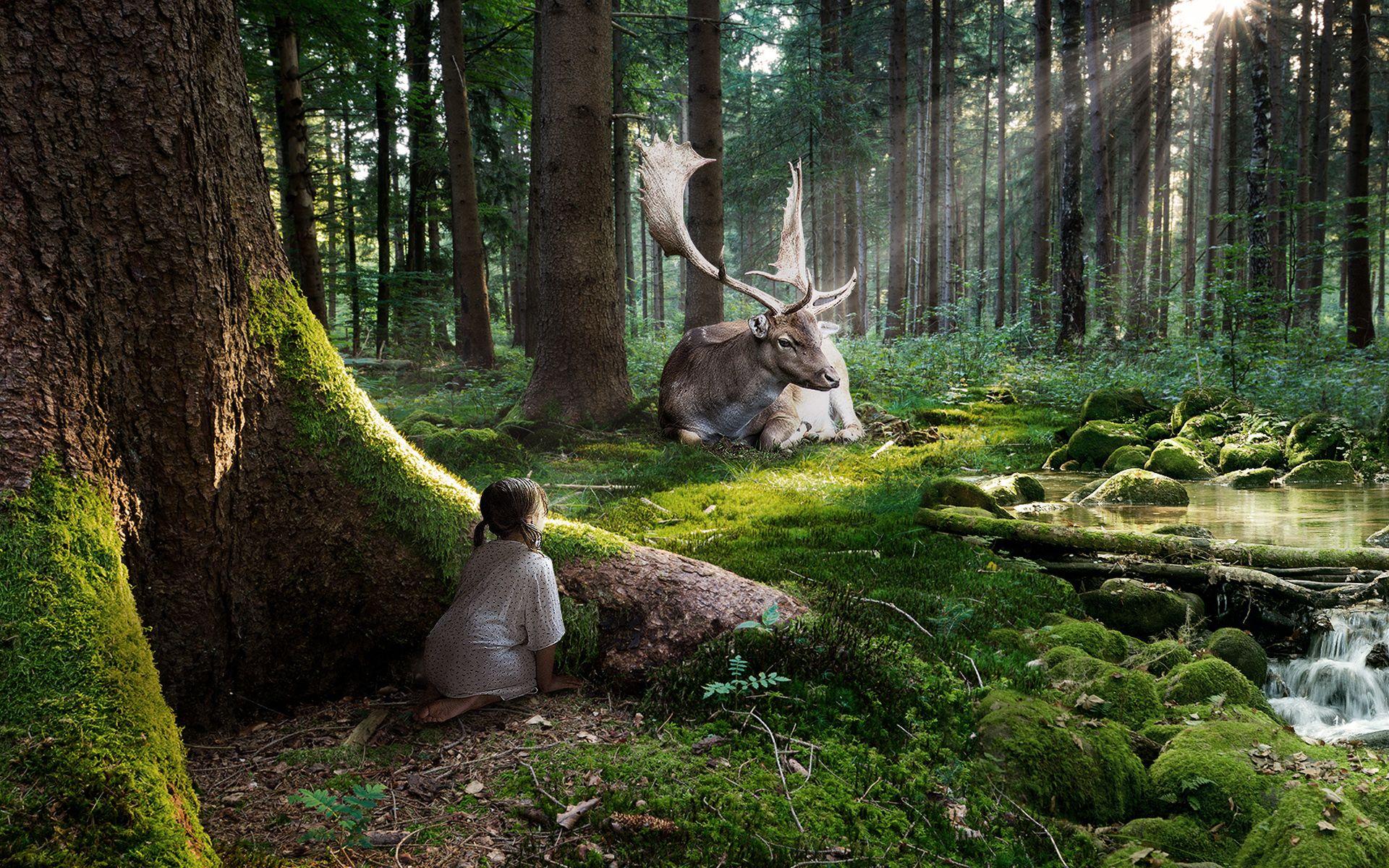 Cute Forest Wallpapers - Top Free Cute Forest Backgrounds - WallpaperAccess