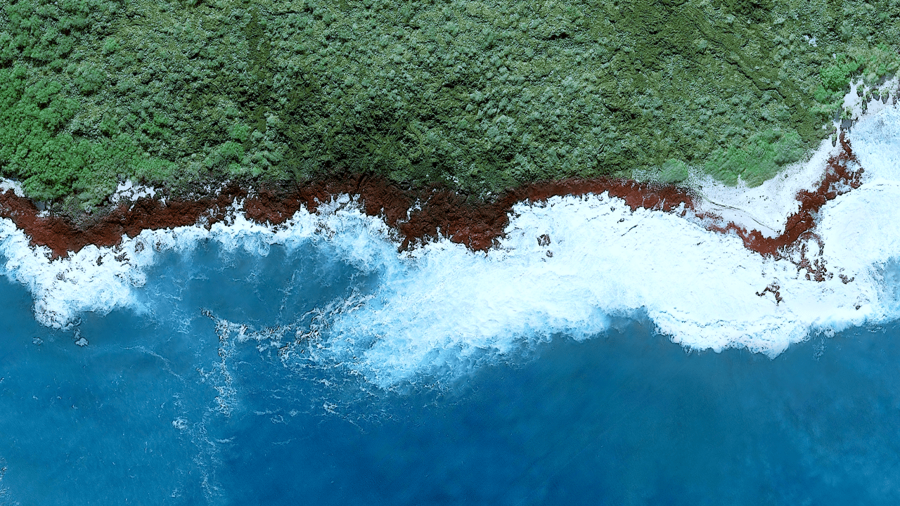 Ocean Forest Wallpapers - Top Free Ocean Forest Backgrounds ...