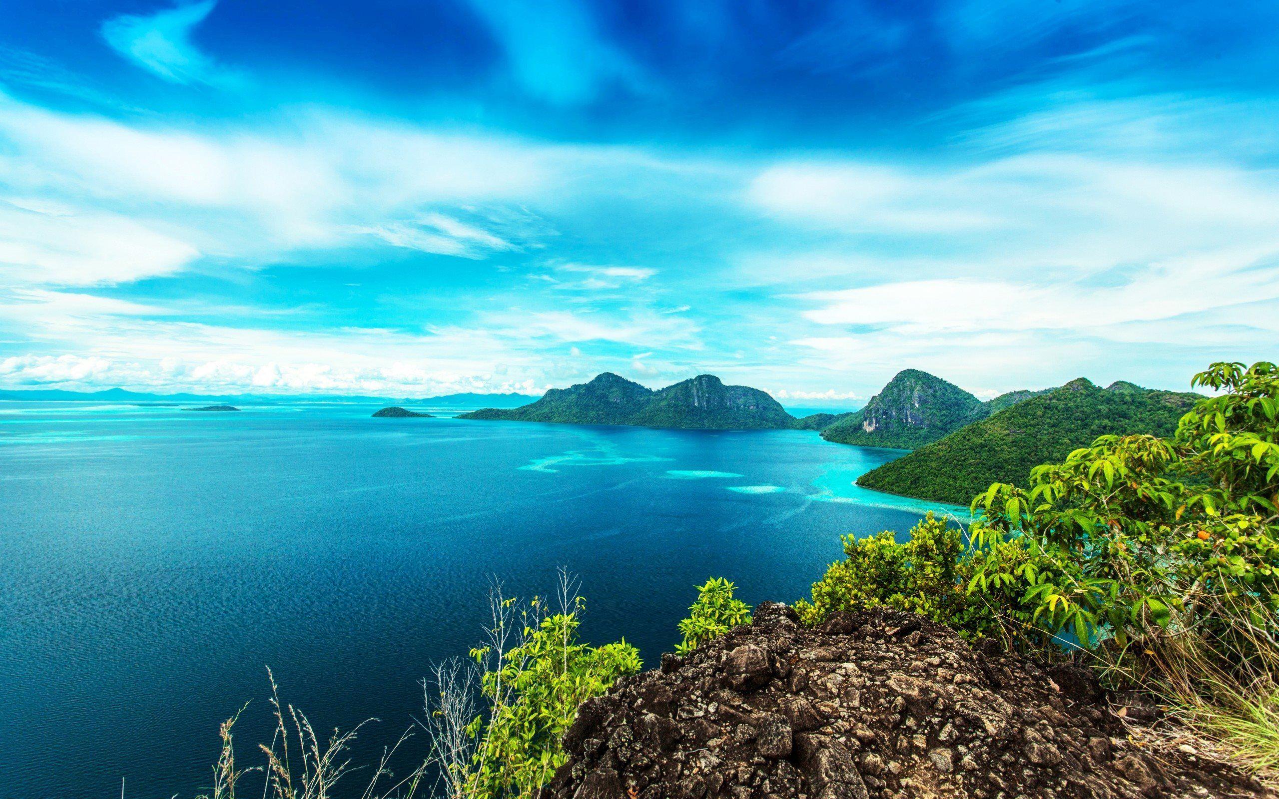 Ocean Forest Wallpapers - Top Free Ocean Forest Backgrounds ...