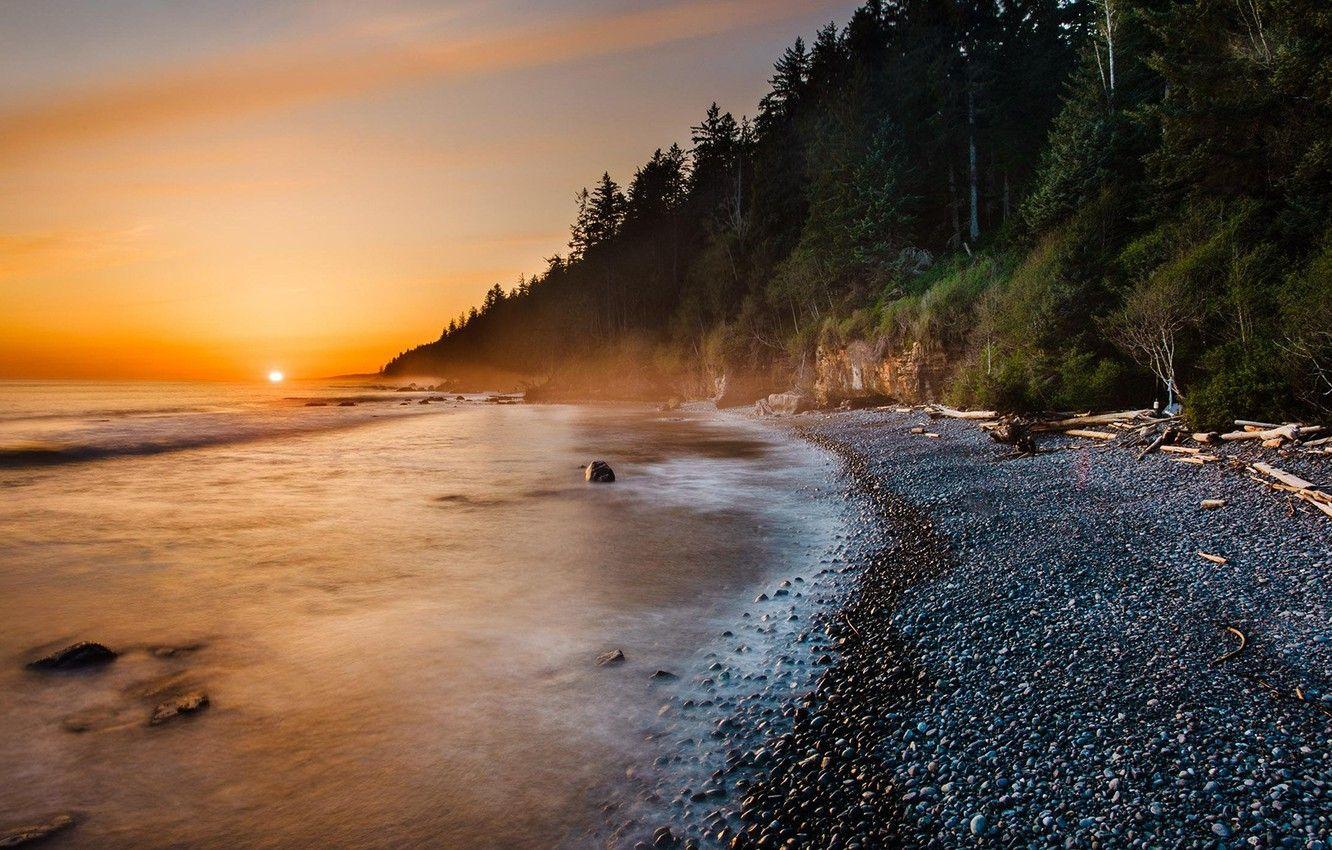 Ocean Forest Wallpapers - Top Free Ocean Forest Backgrounds ...