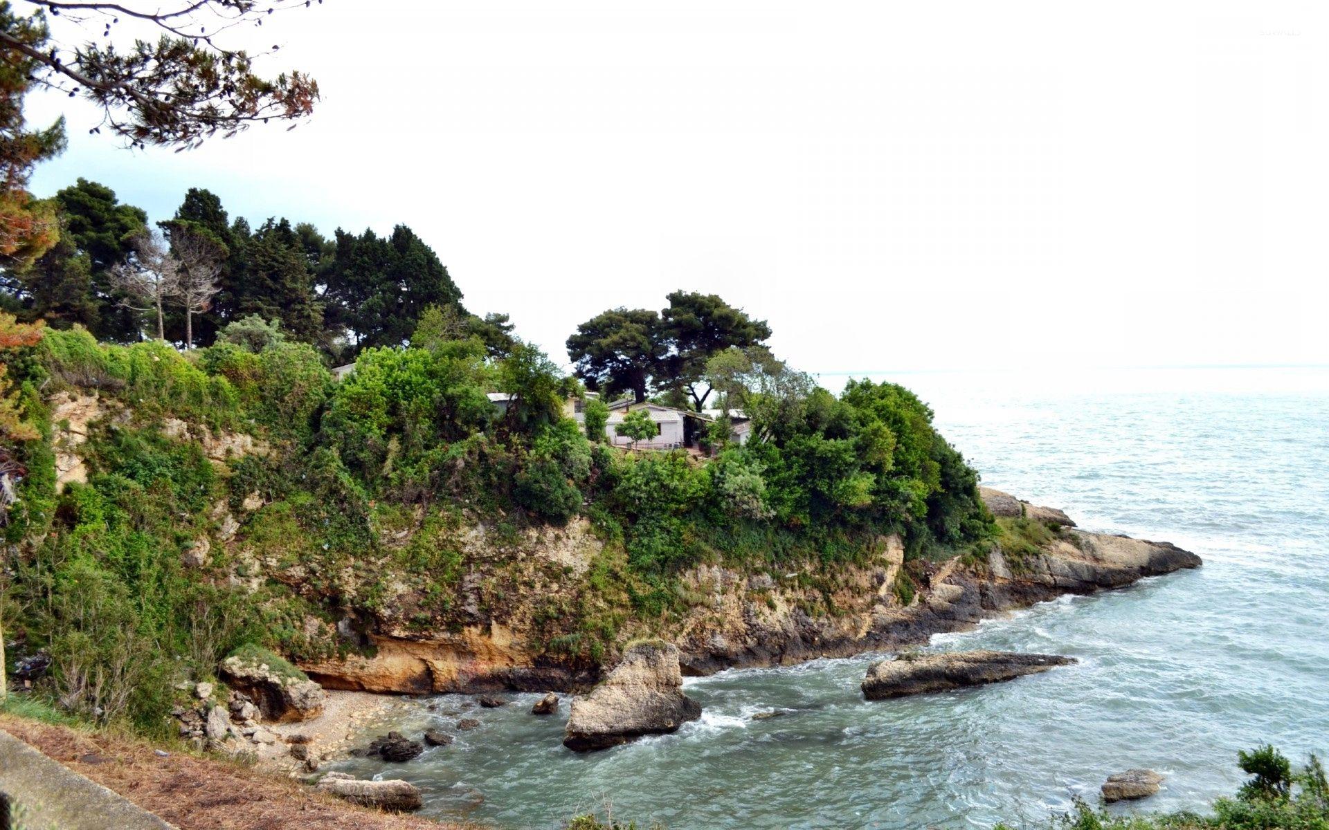 Ocean Forest Wallpapers - Top Free Ocean Forest Backgrounds ...