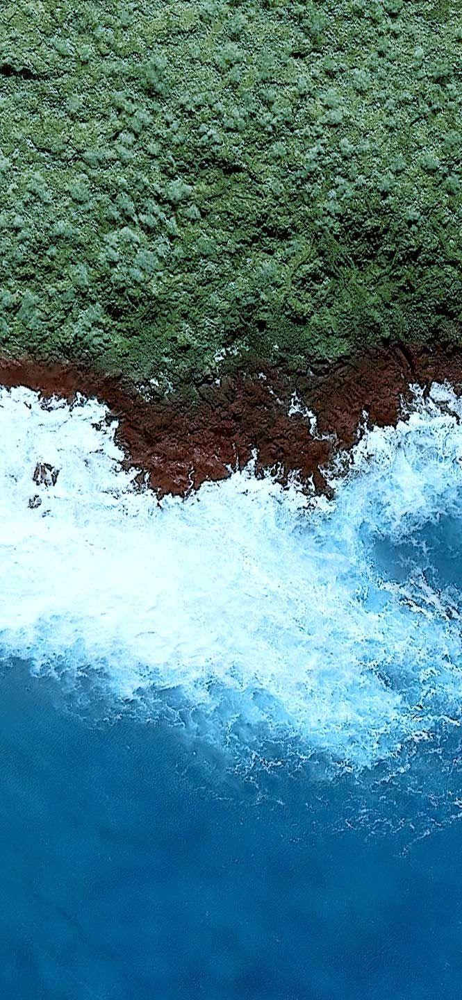 Ocean Forest Wallpapers - Top Free Ocean Forest Backgrounds ...