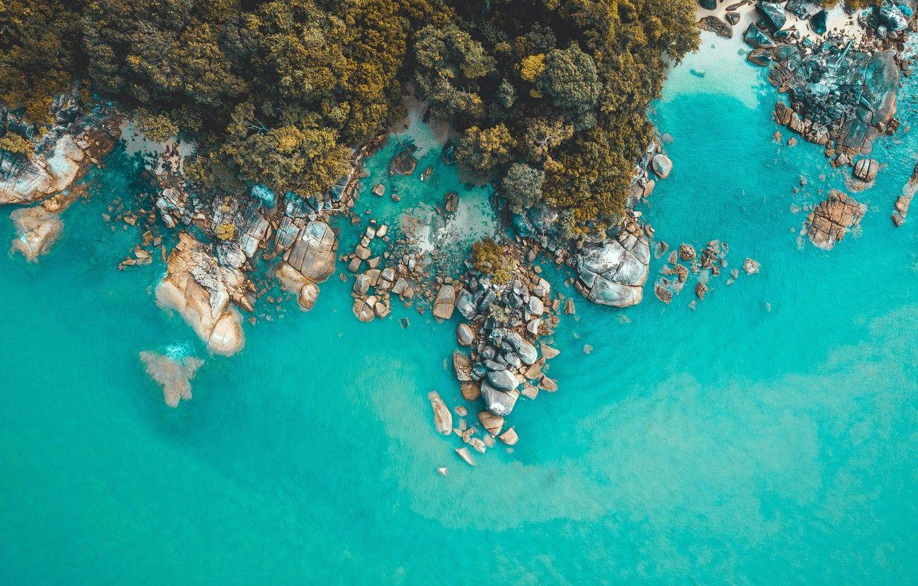 Ocean Forest Wallpapers - Top Free Ocean Forest Backgrounds ...