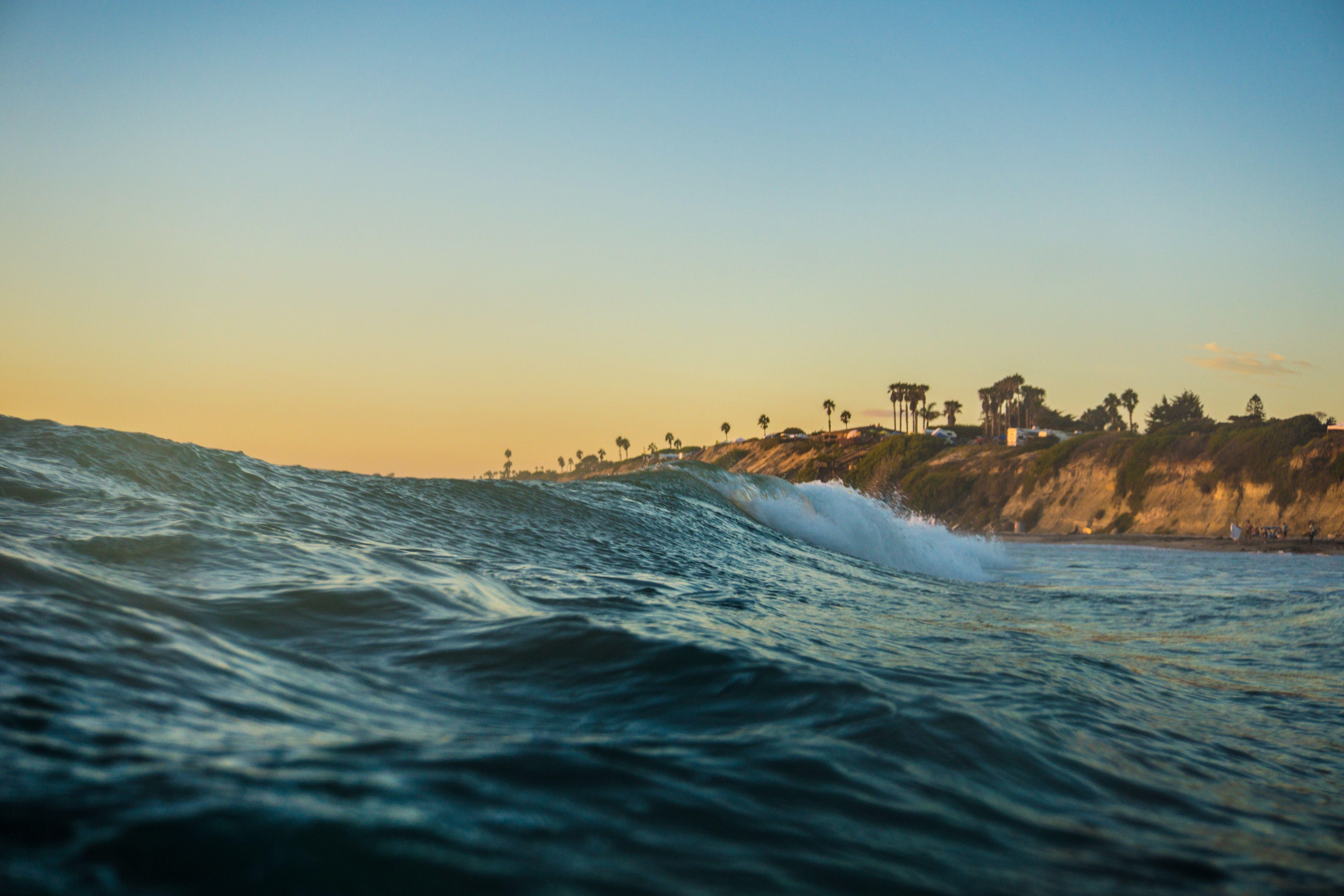Ocean Forest Wallpapers - Top Free Ocean Forest Backgrounds ...